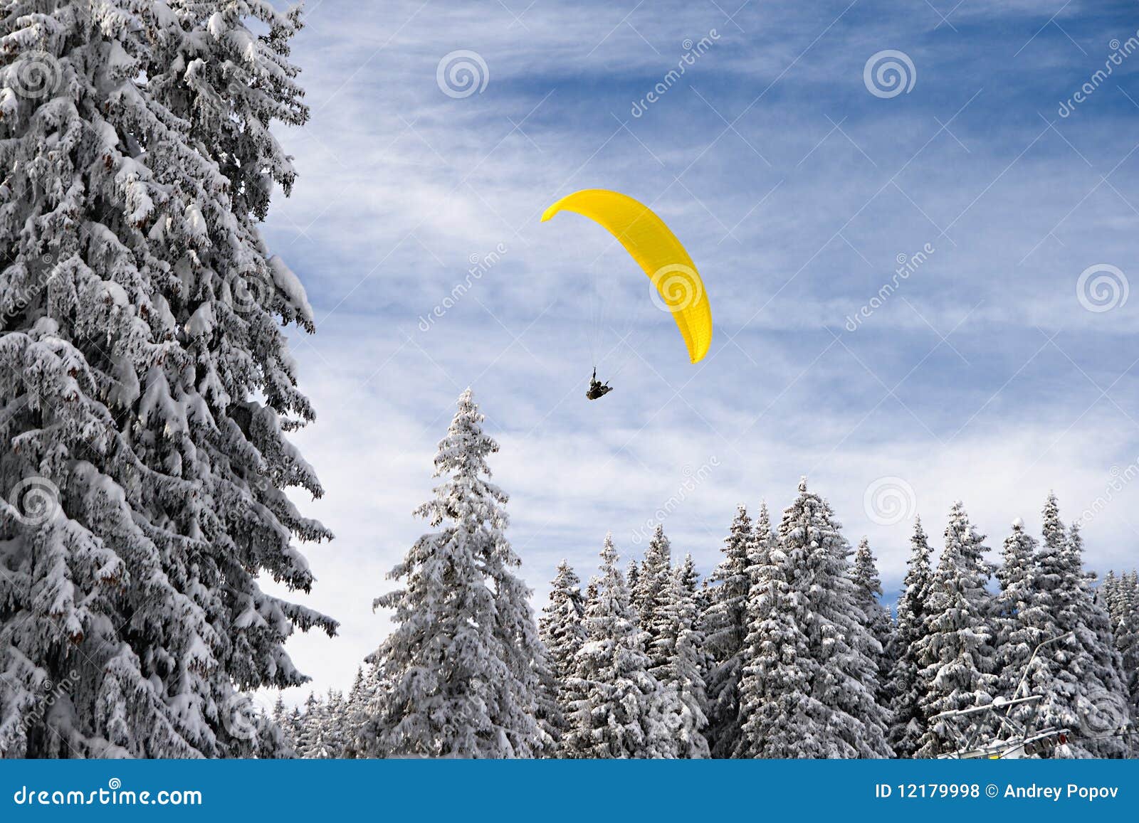 Gliding over the forest stock photo. Image of lifestyle - 12179998