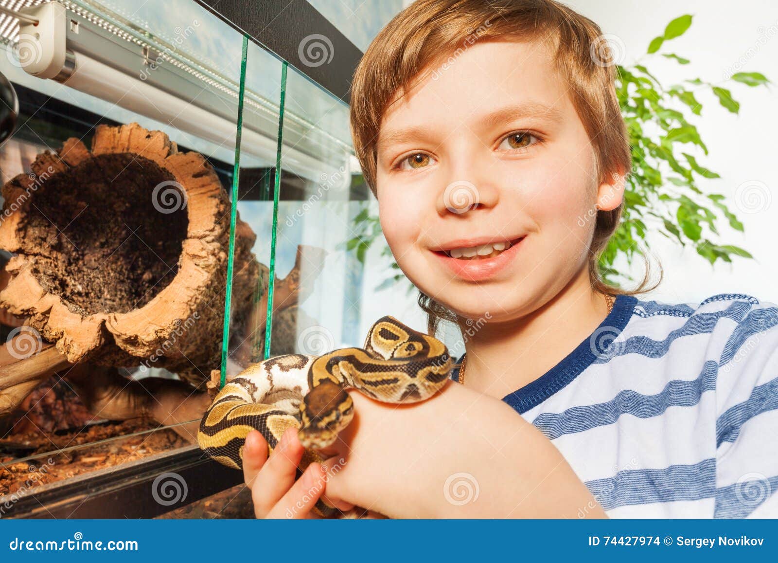 Glimlachende Jongen Die Koninklijke Python in Zijn Handen Houden Stock ...