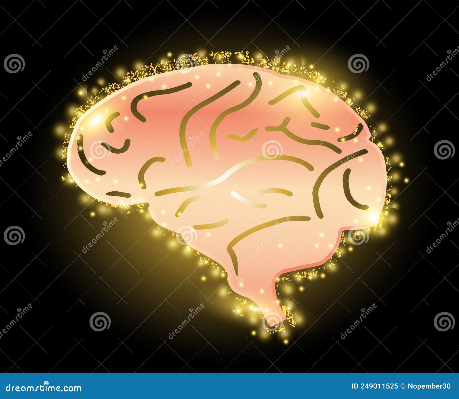 Glitter gold brain stock vector. Illustration of mind - 249011525