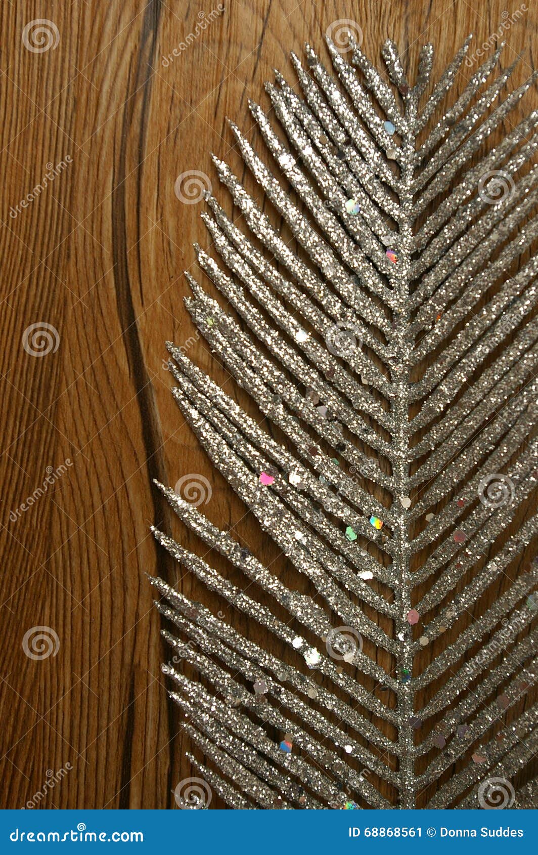 Glitter Silver Feather Wood Background Stock Image - Image of feather ...