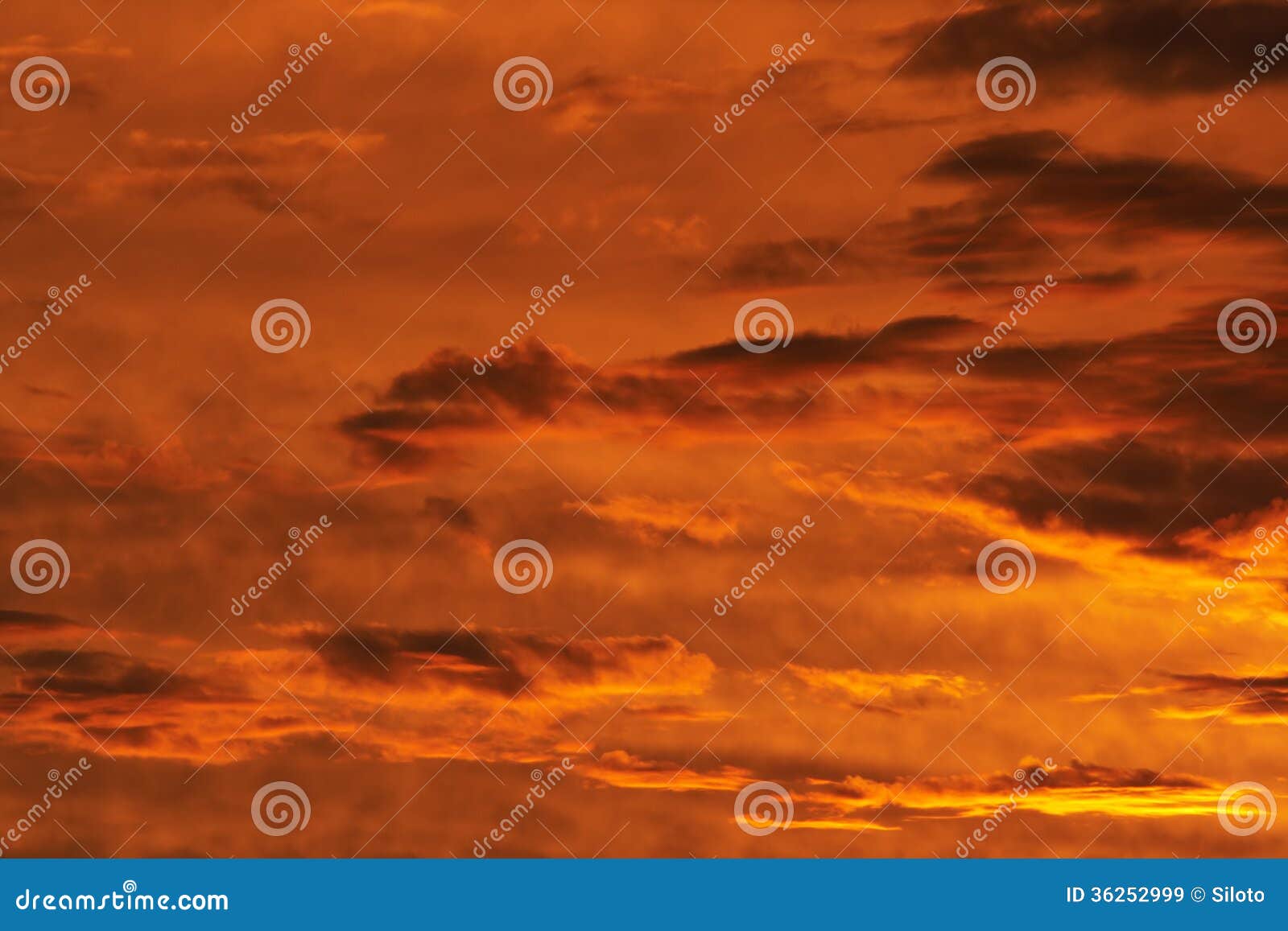 Gloaming stock image. Image of rosy, nature, colours - 36252999
