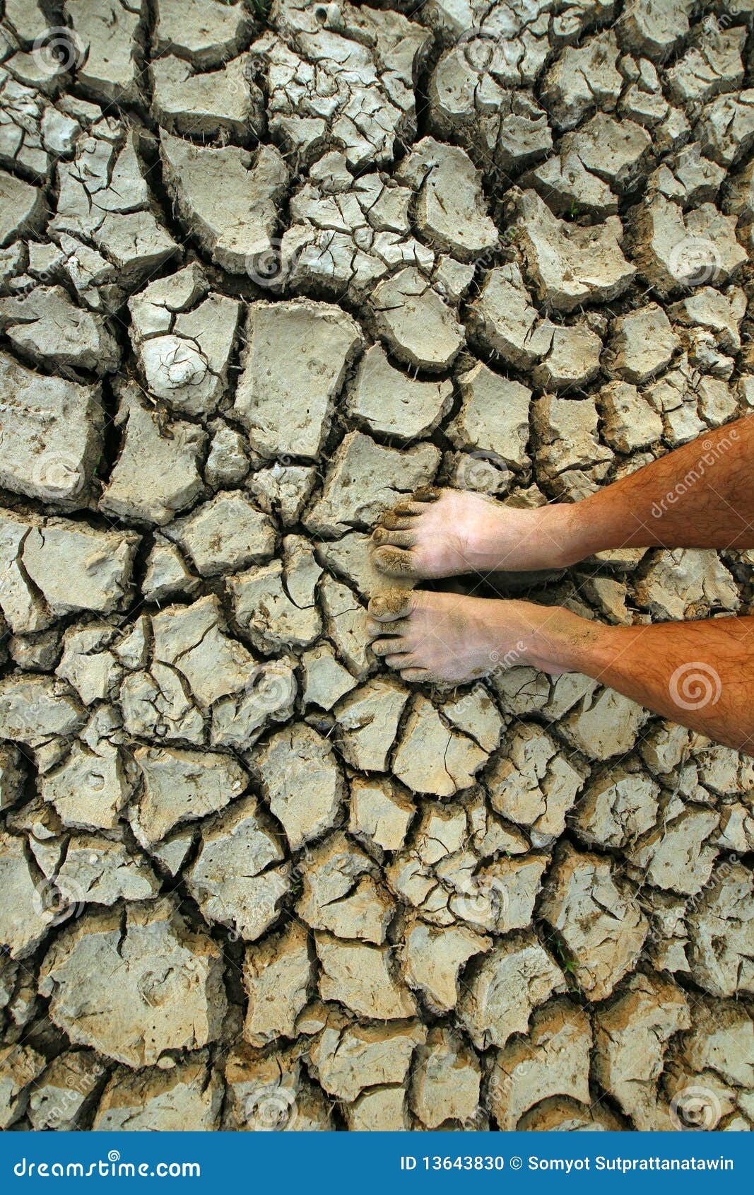 Global crisis crack stock photo. Image of died, death - 13643830