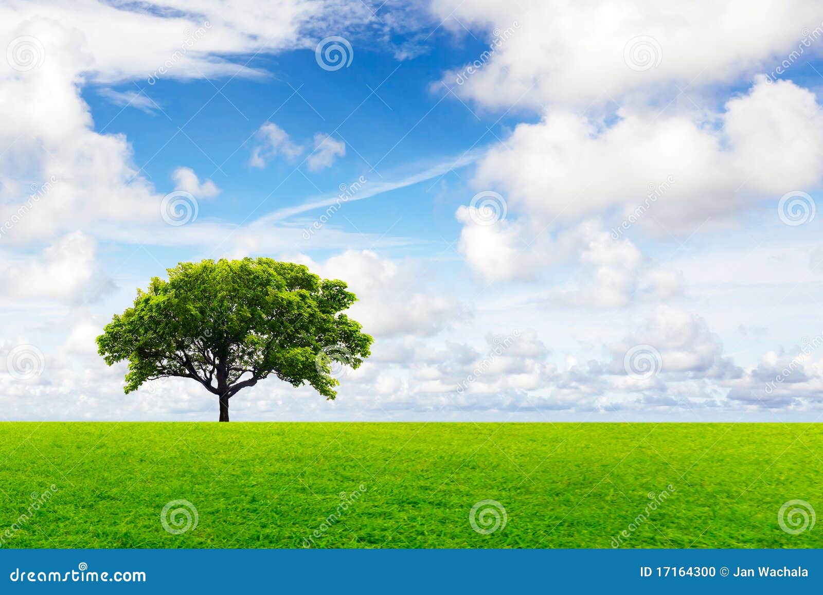 Global Environment stock photo. Image of conservation - 17164300