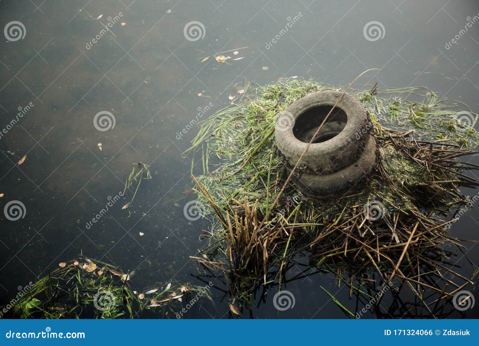 Global Environmental Problem of Pollution by Man-made Objects, the ...