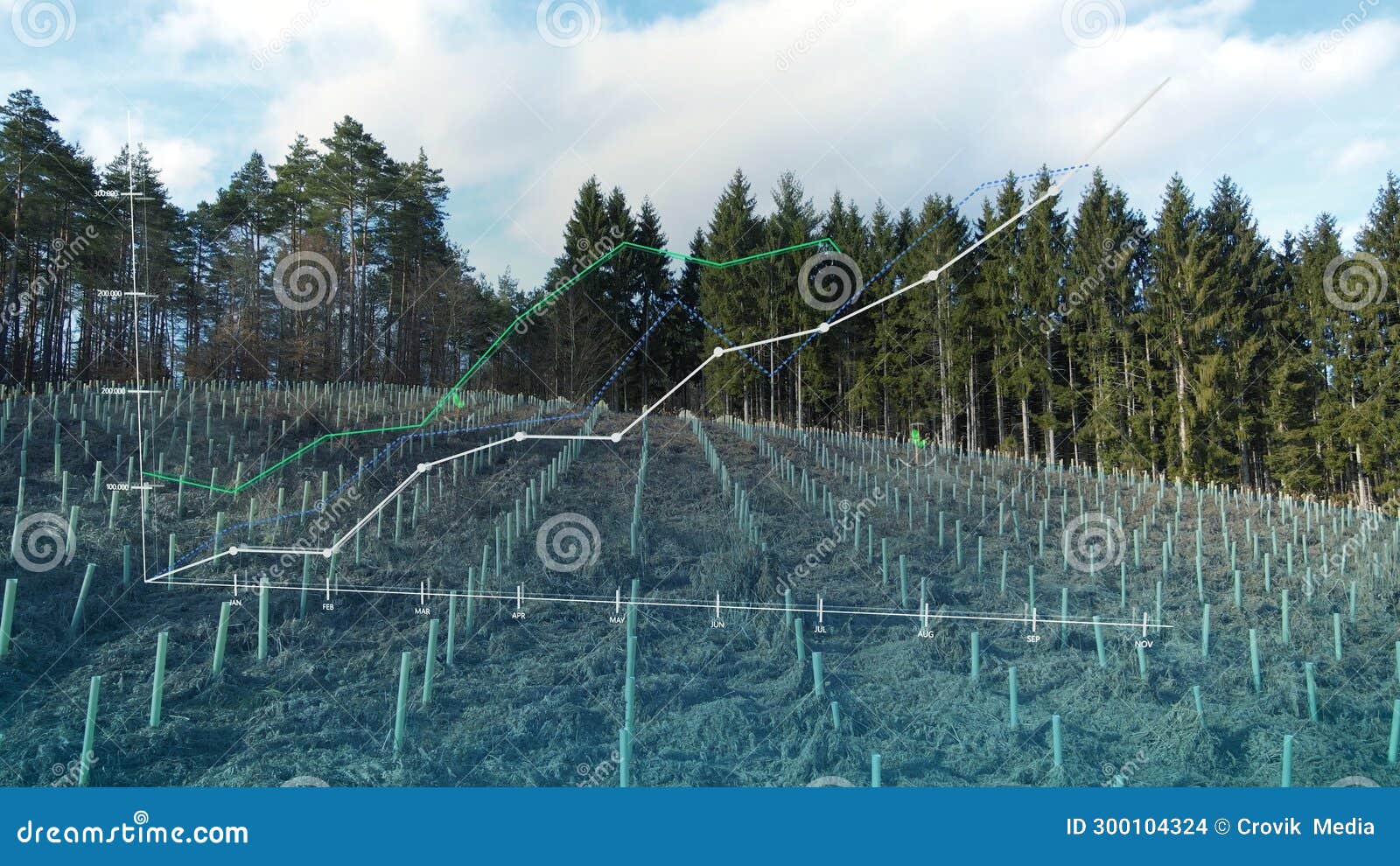 Global Forest Restoration and Eco Practices Increasing World Ecology ...