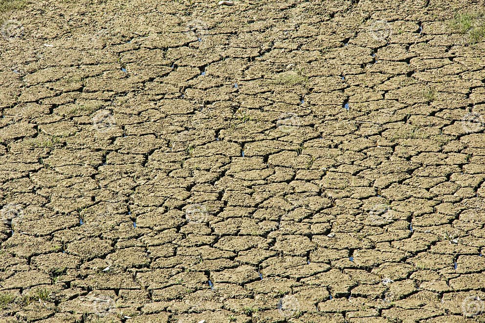Global warming and drought stock photo. Image of landscape - 199650772