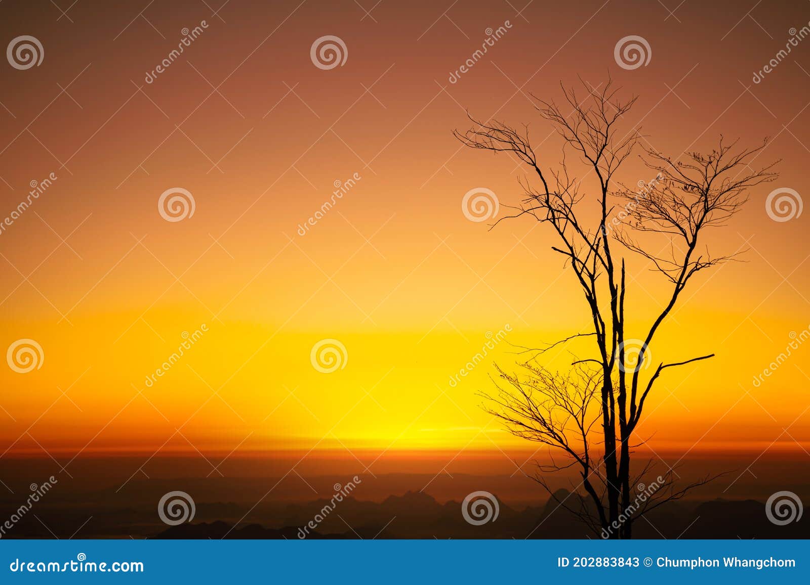 Global Warming and Dry Trees in Heat Waves or Elevated Temperatures ...