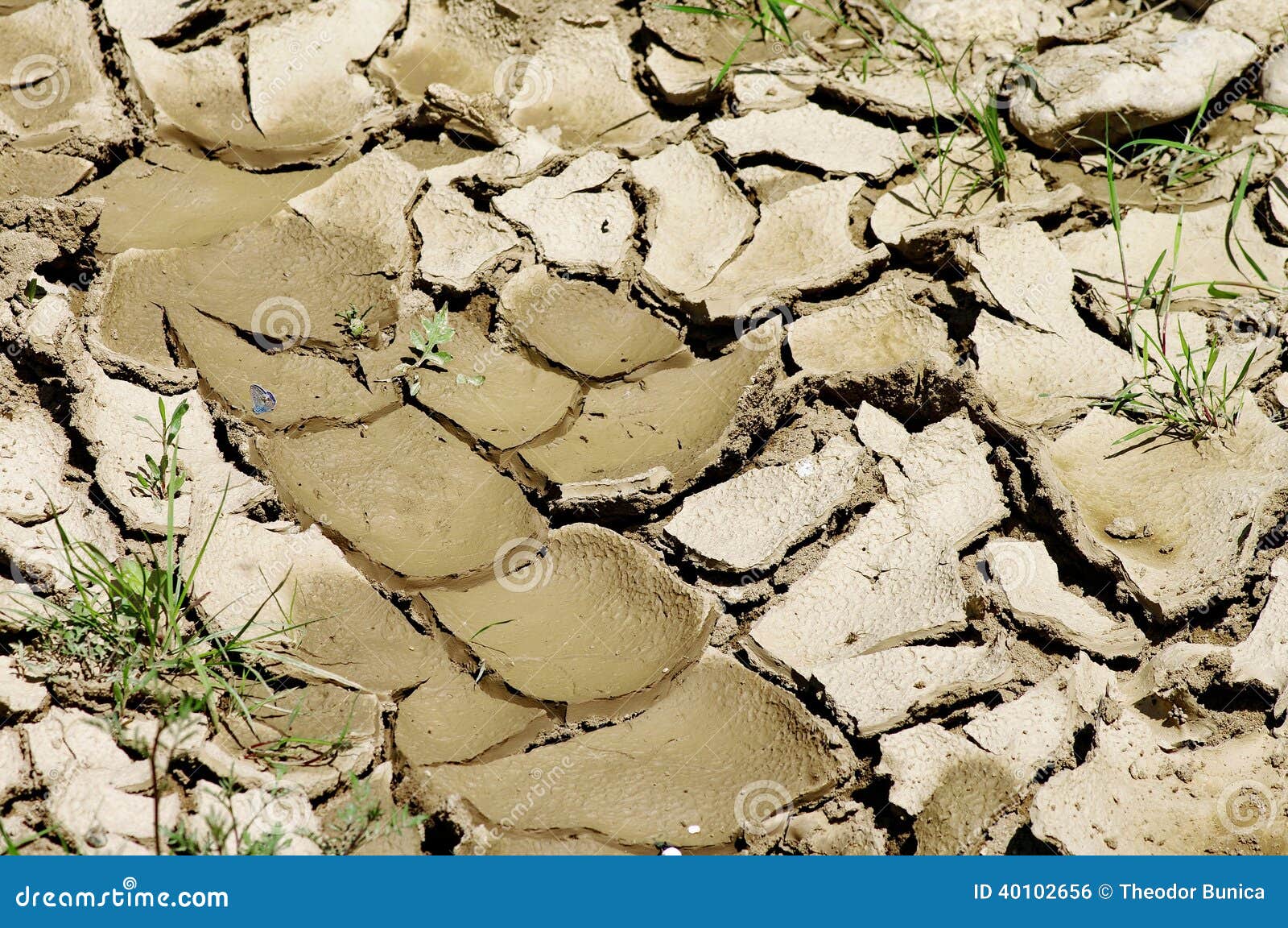 Global Warming Effects. Drought. Dried Earth Stock Photo - Image of ...