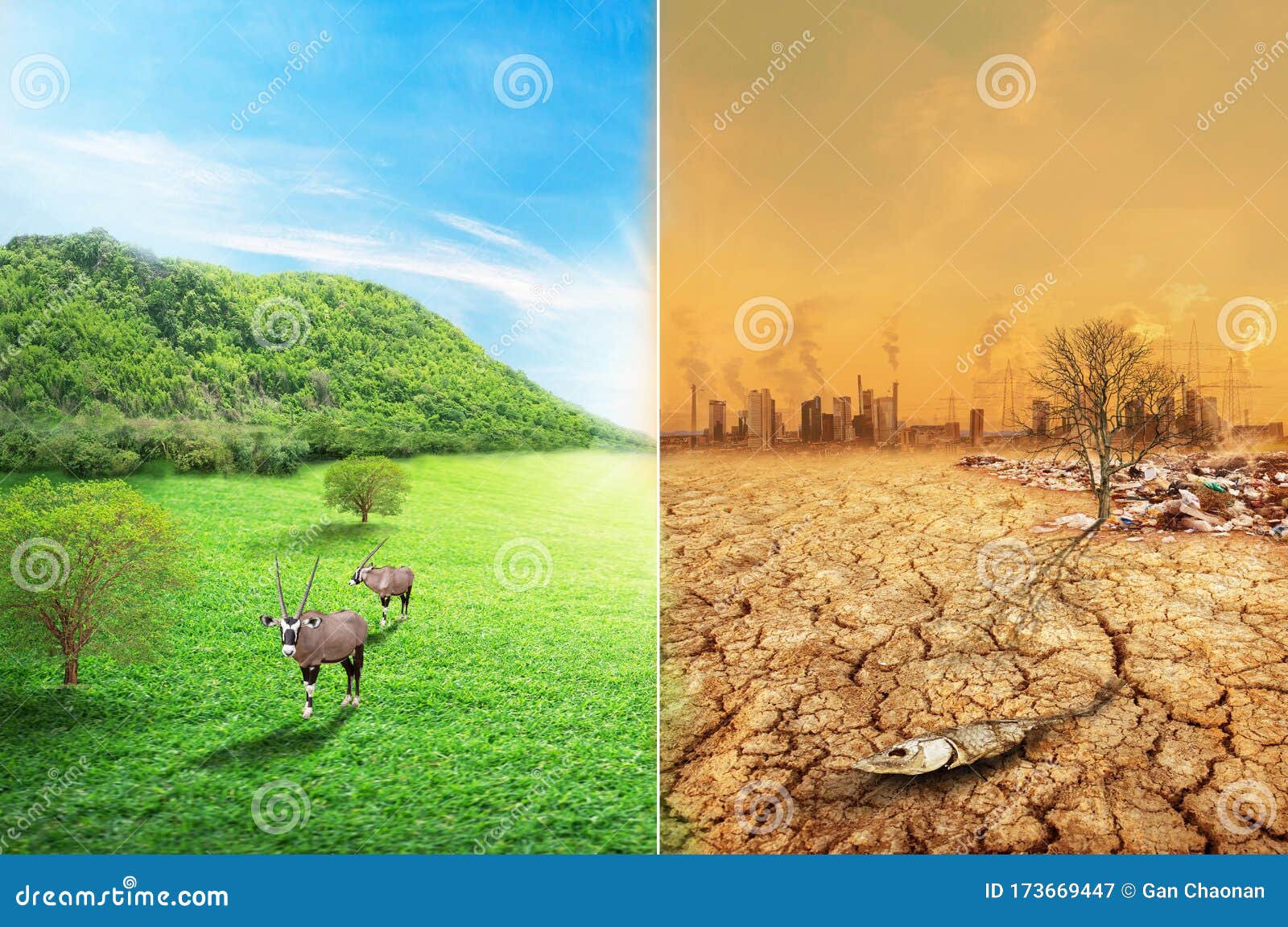 Effects Of Global Warming On Weather