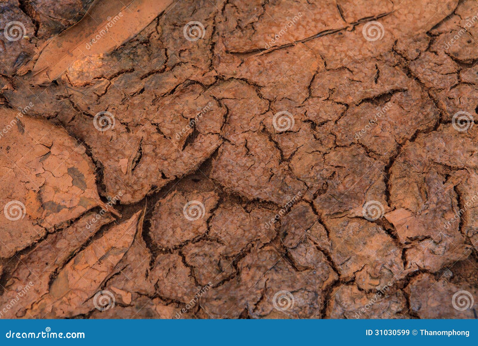 Global Warming - Parched Earth Stock Image - Image of backdrop, desert ...