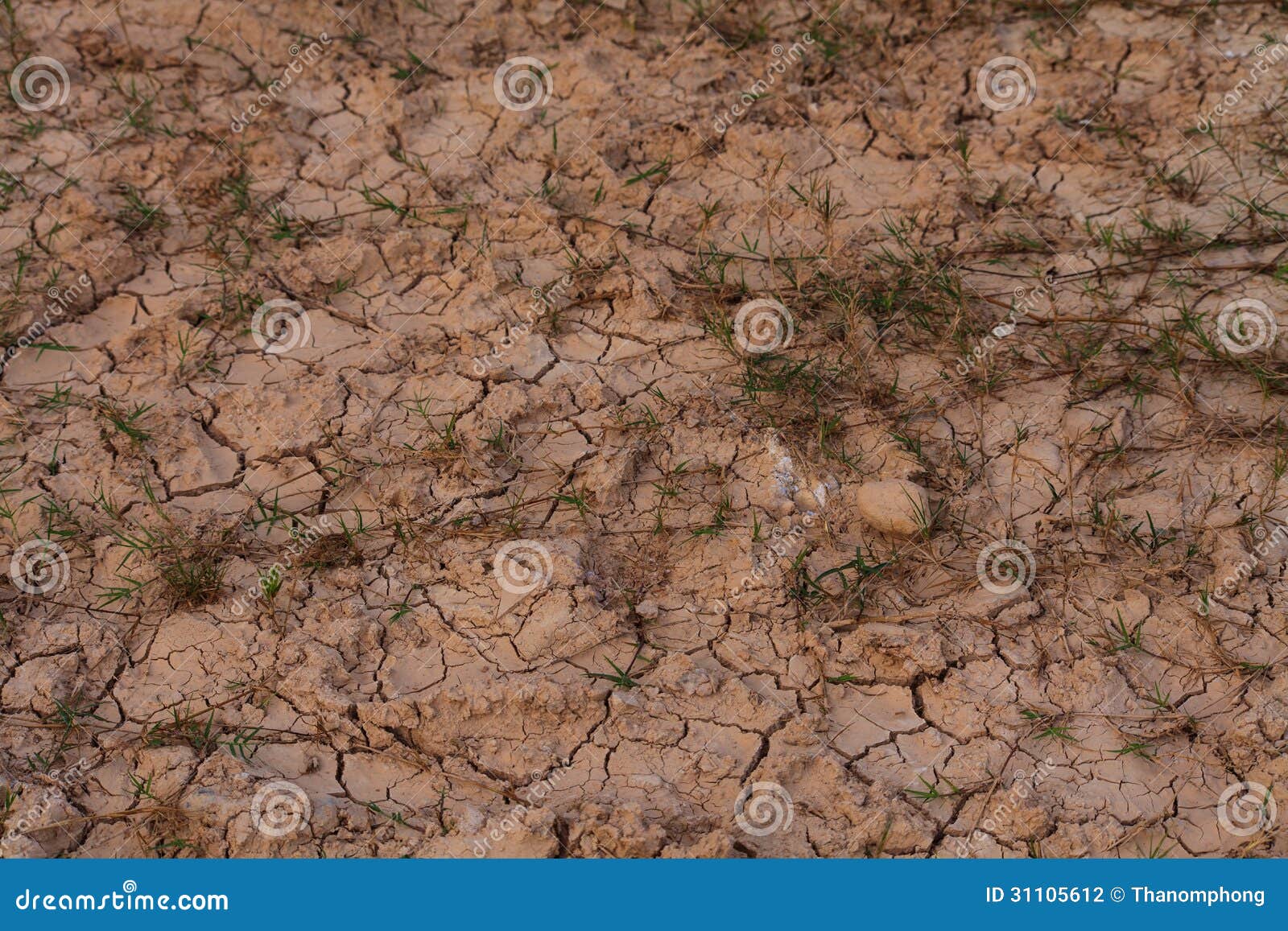Global Warming - Parched Earth Stock Photo - Image of environmental ...