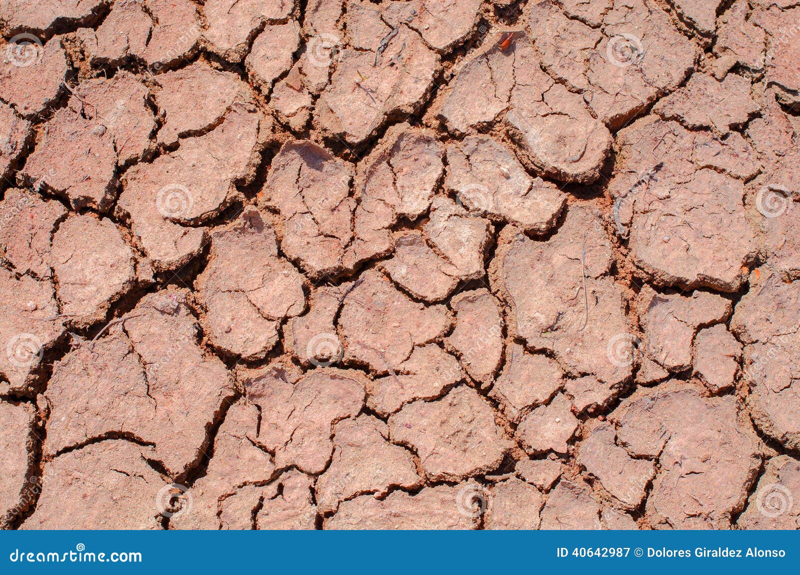 Global Warming - Parched Earth Stock Image - Image of full, hope: 40642987