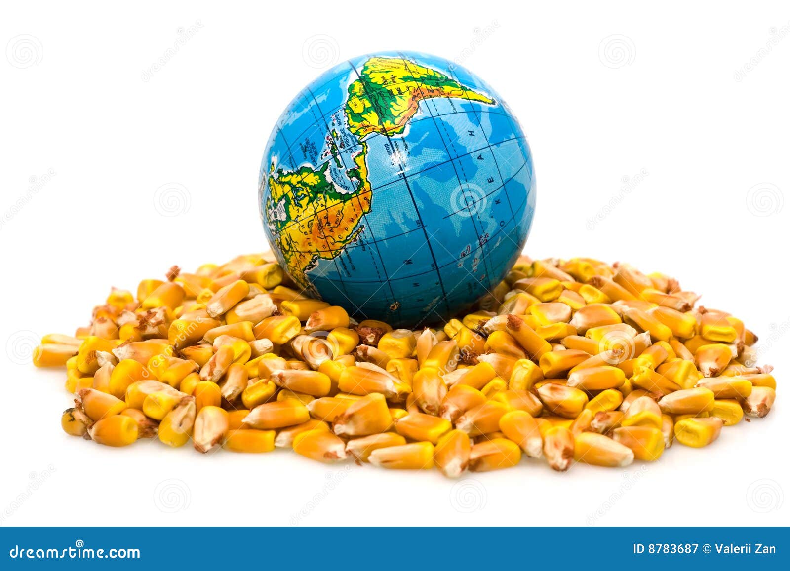 Globe and corn stock image. Image of nation, dried, healthy - 8783687
