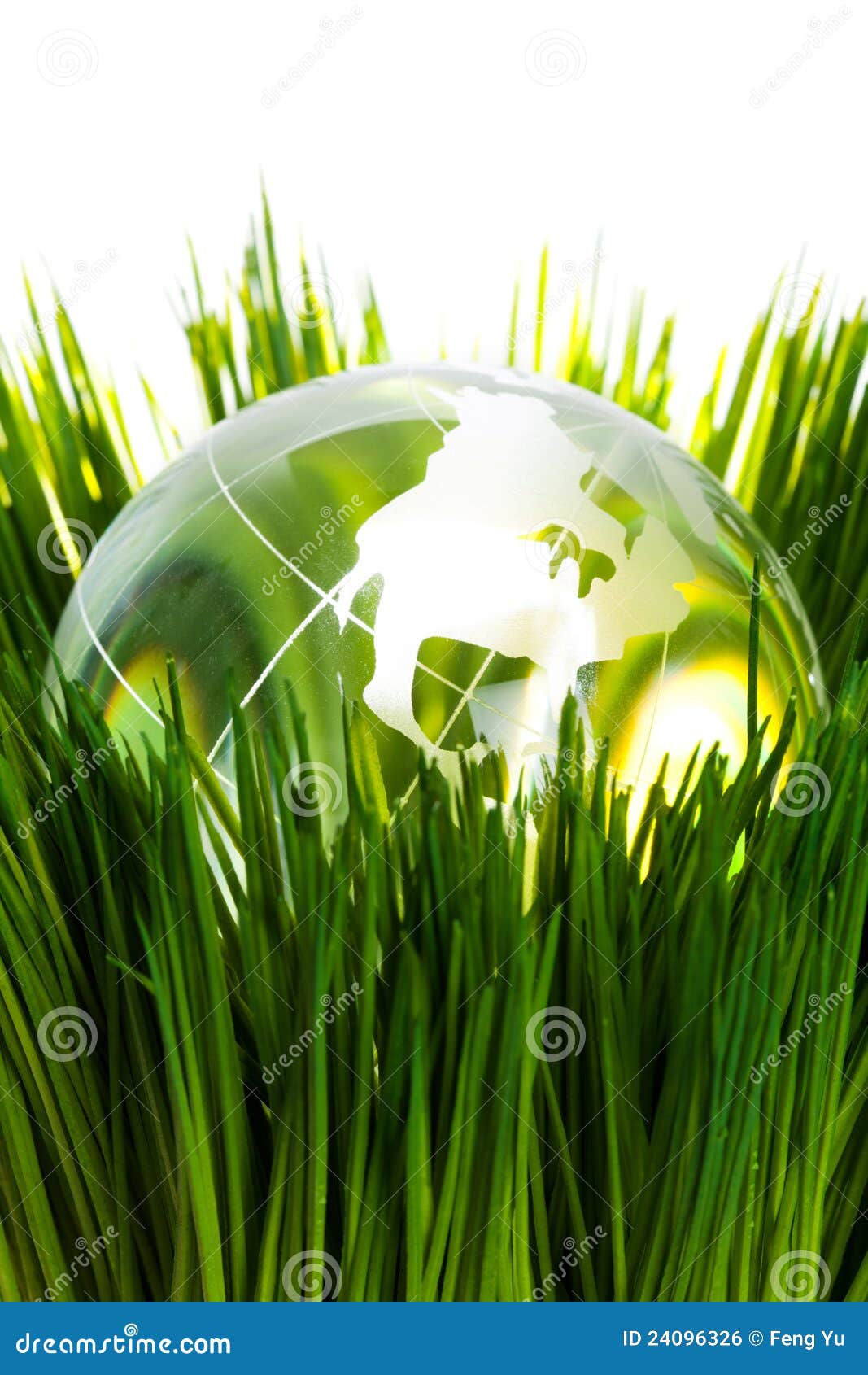 Globe and green grass stock photo. Image of natural, earth - 24096326