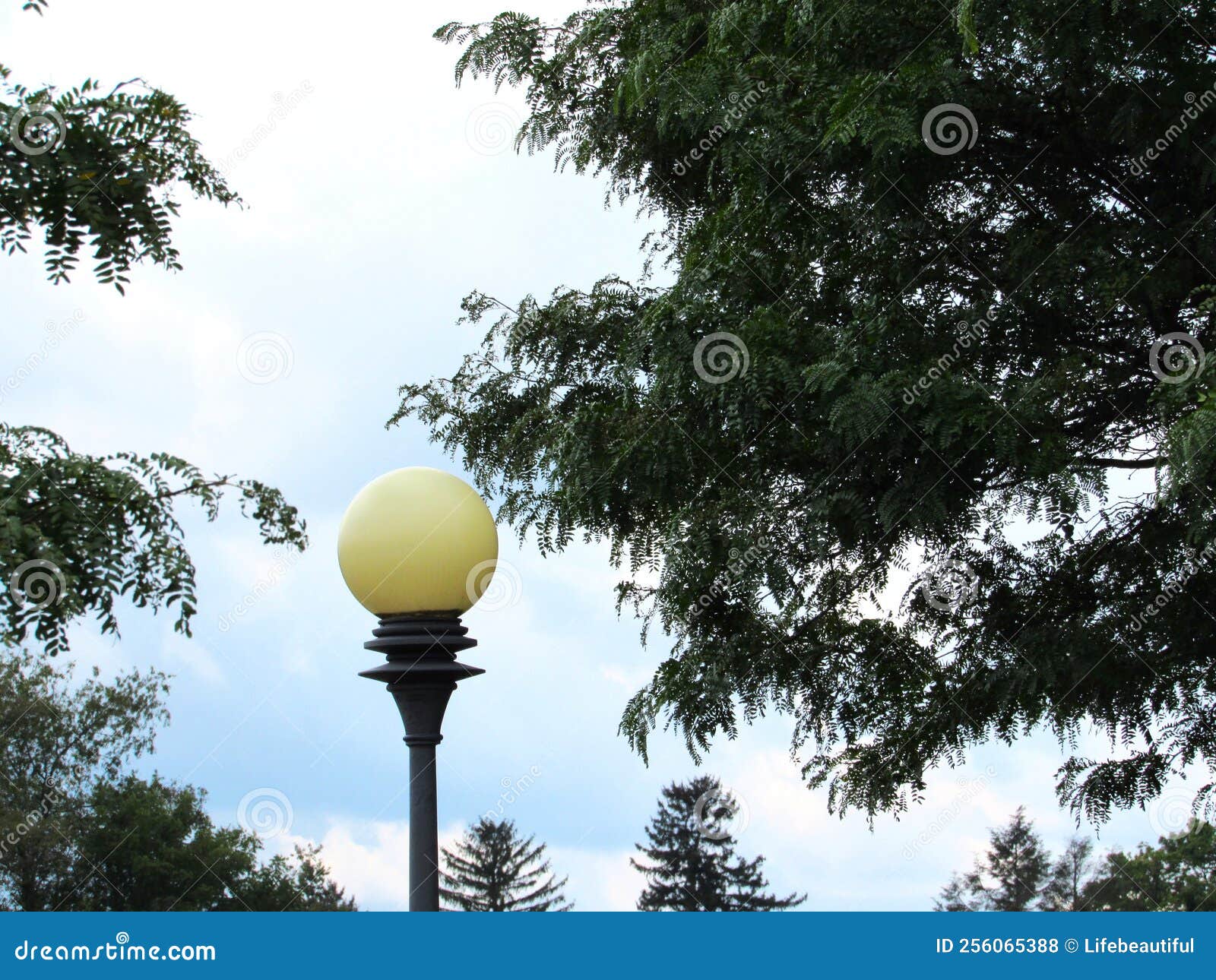 Globe lampost stock photo. Image of yellow, plant, lampost - 256065388