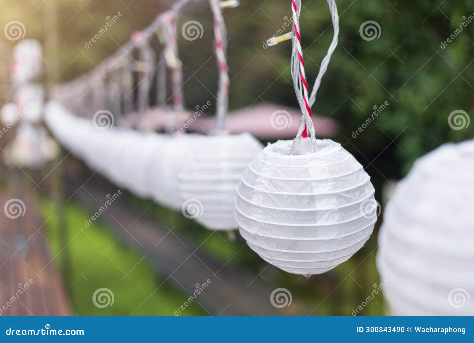 Globe Lanterns Hanging on a String at a Garden Stock Photo - Image of ...