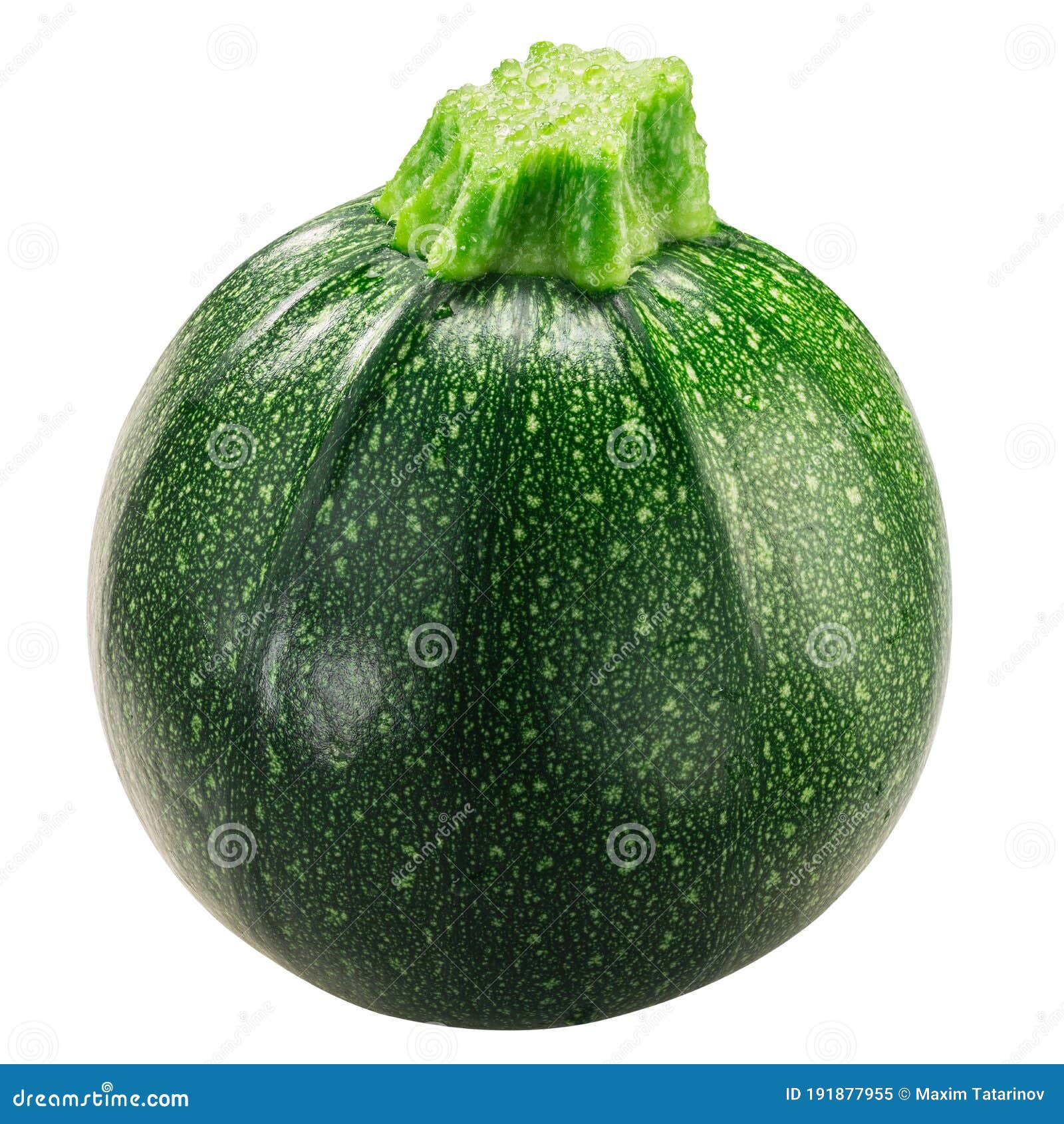 Globe Striped Zucchini Cucurbita Pepo Fruit, Isolated Stock Image ...