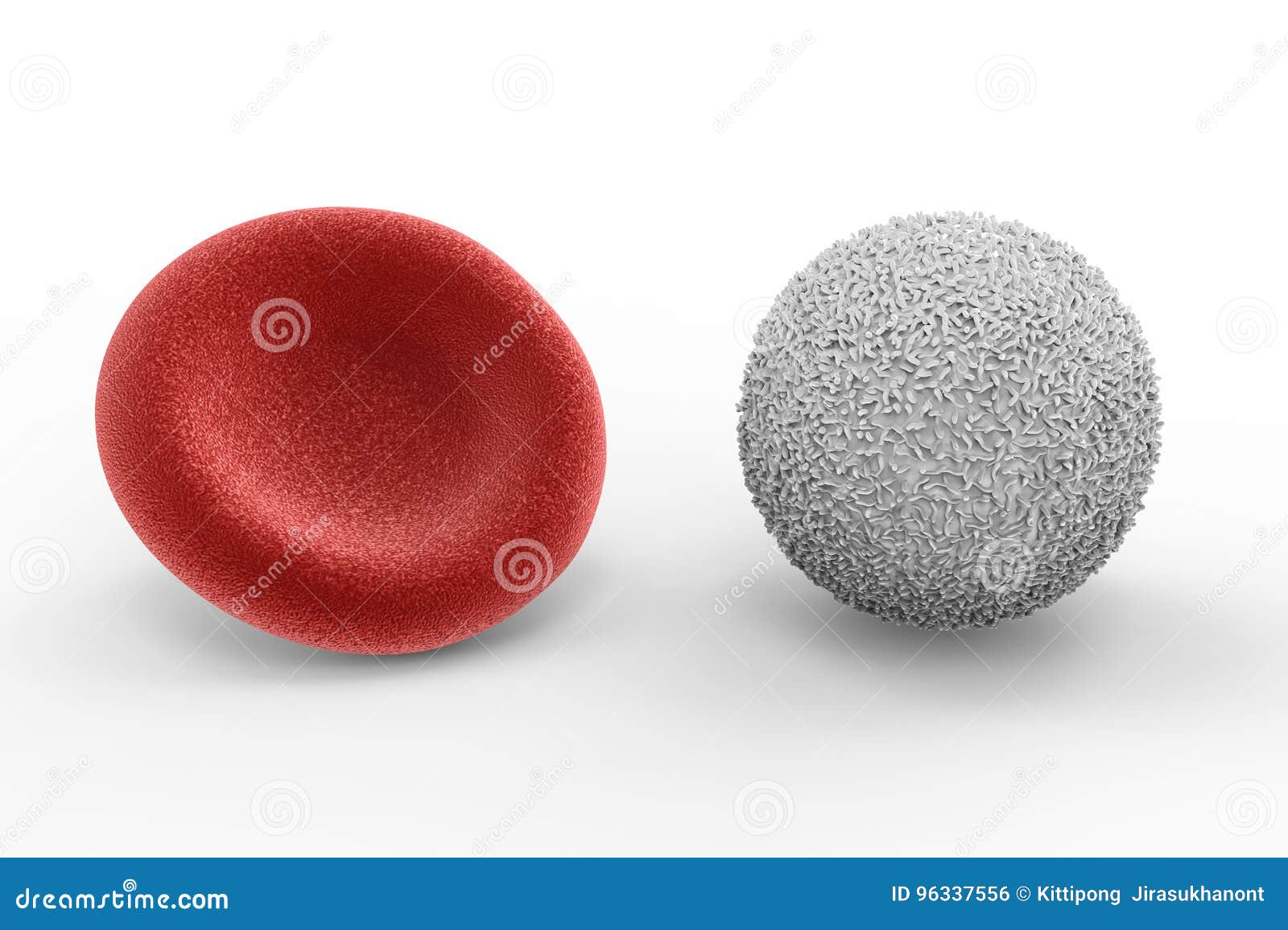 Globule Blanc Avec La Globule Rouge Illustration Stock - Illustration ...