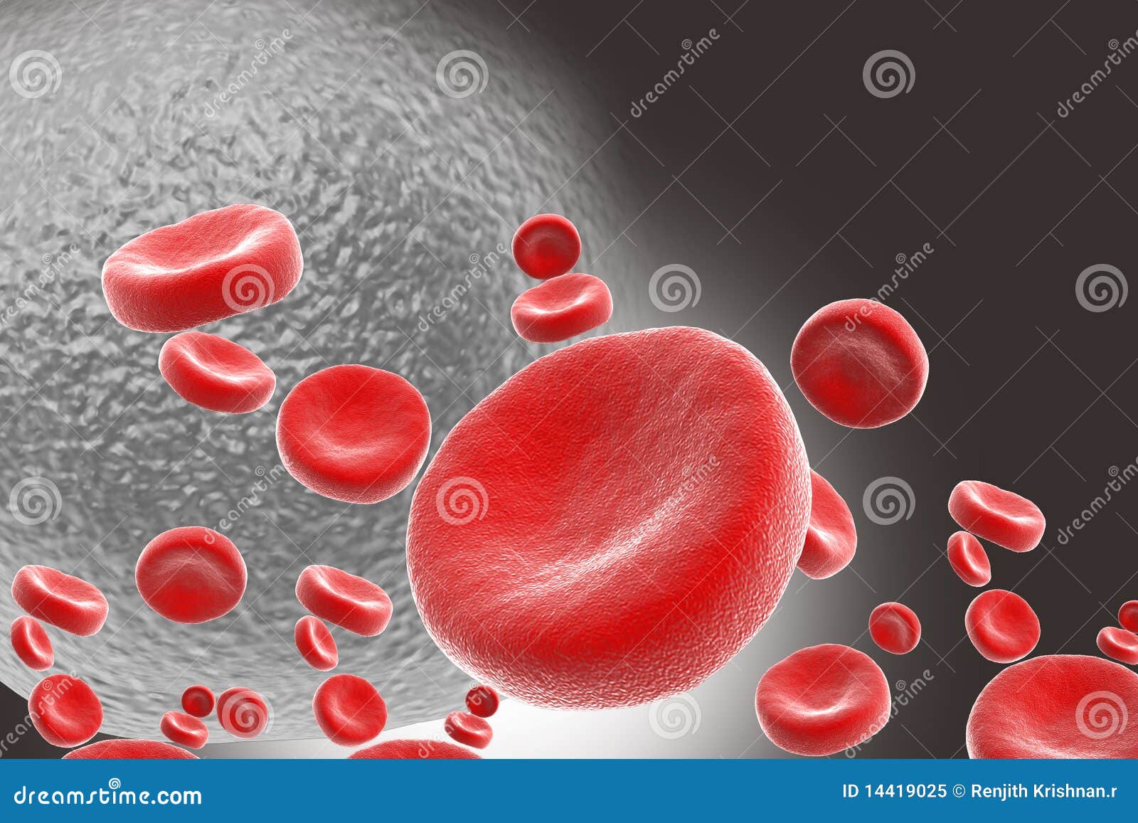Globule rouge illustration stock. Illustration du science - 14419025
