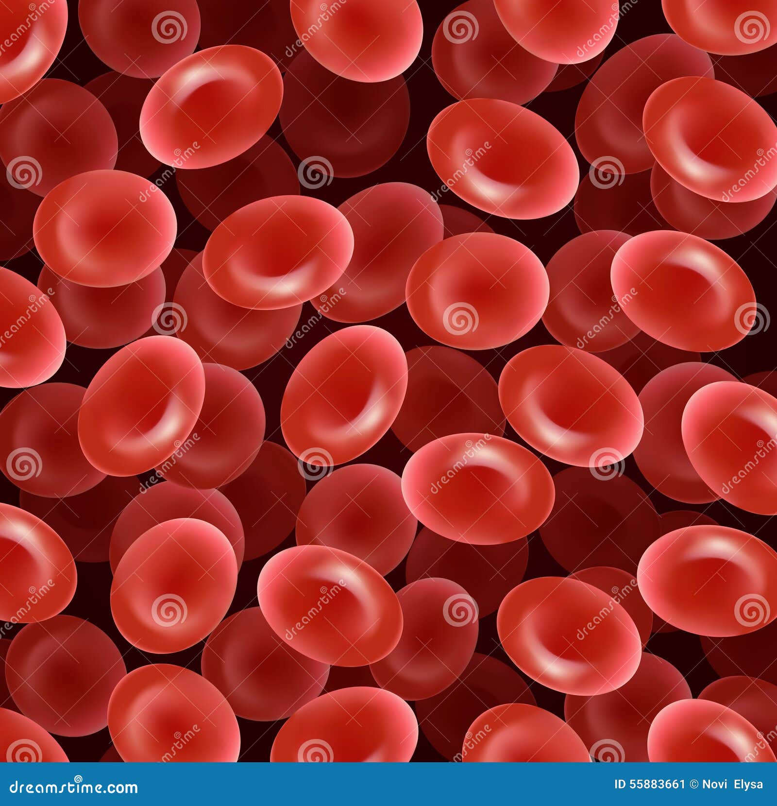 Globule rouge illustration de vecteur. Illustration du bactérie - 55883661