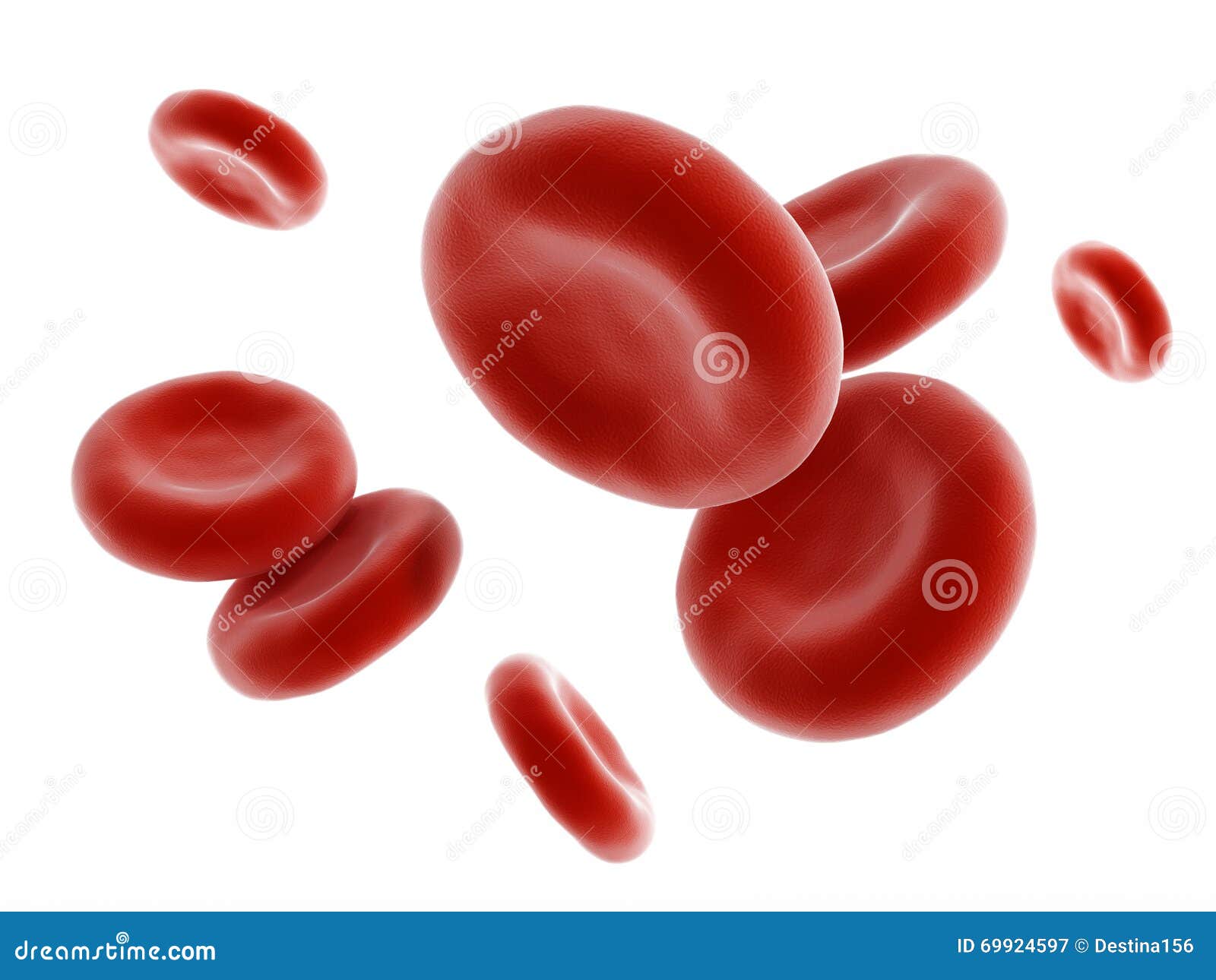 Globule rouge illustration stock. Illustration du biologie - 69924597