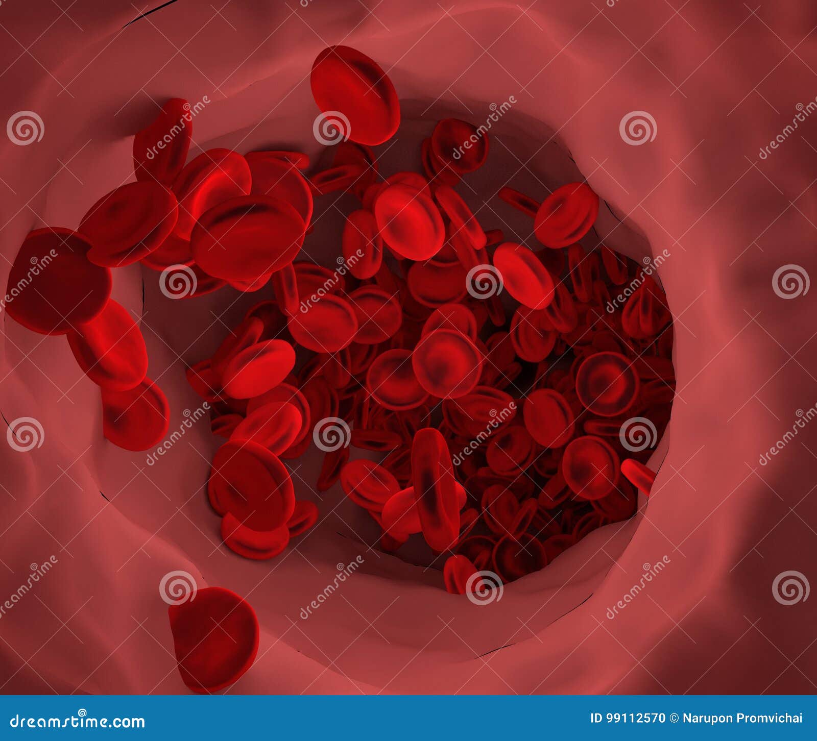 Globule Rouge Dans Le Vaisseau Sanguin Illustration Stock ...