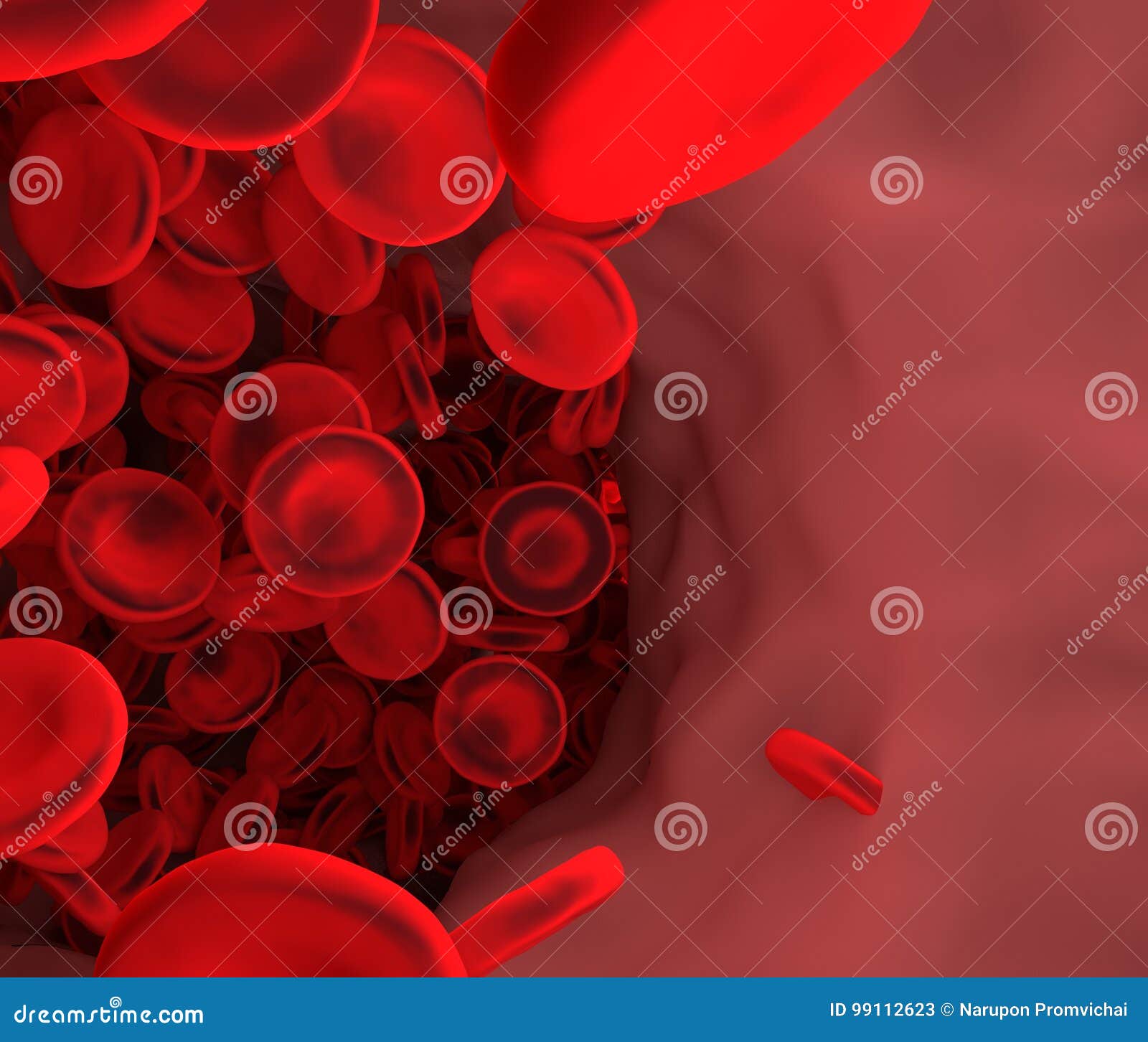 Globule Rouge Dans Le Vaisseau Sanguin Illustration Stock ...