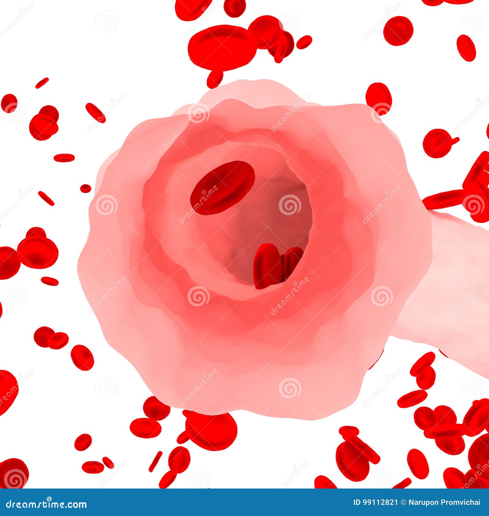 Globule Rouge Dans Le Vaisseau Sanguin Illustration Stock ...