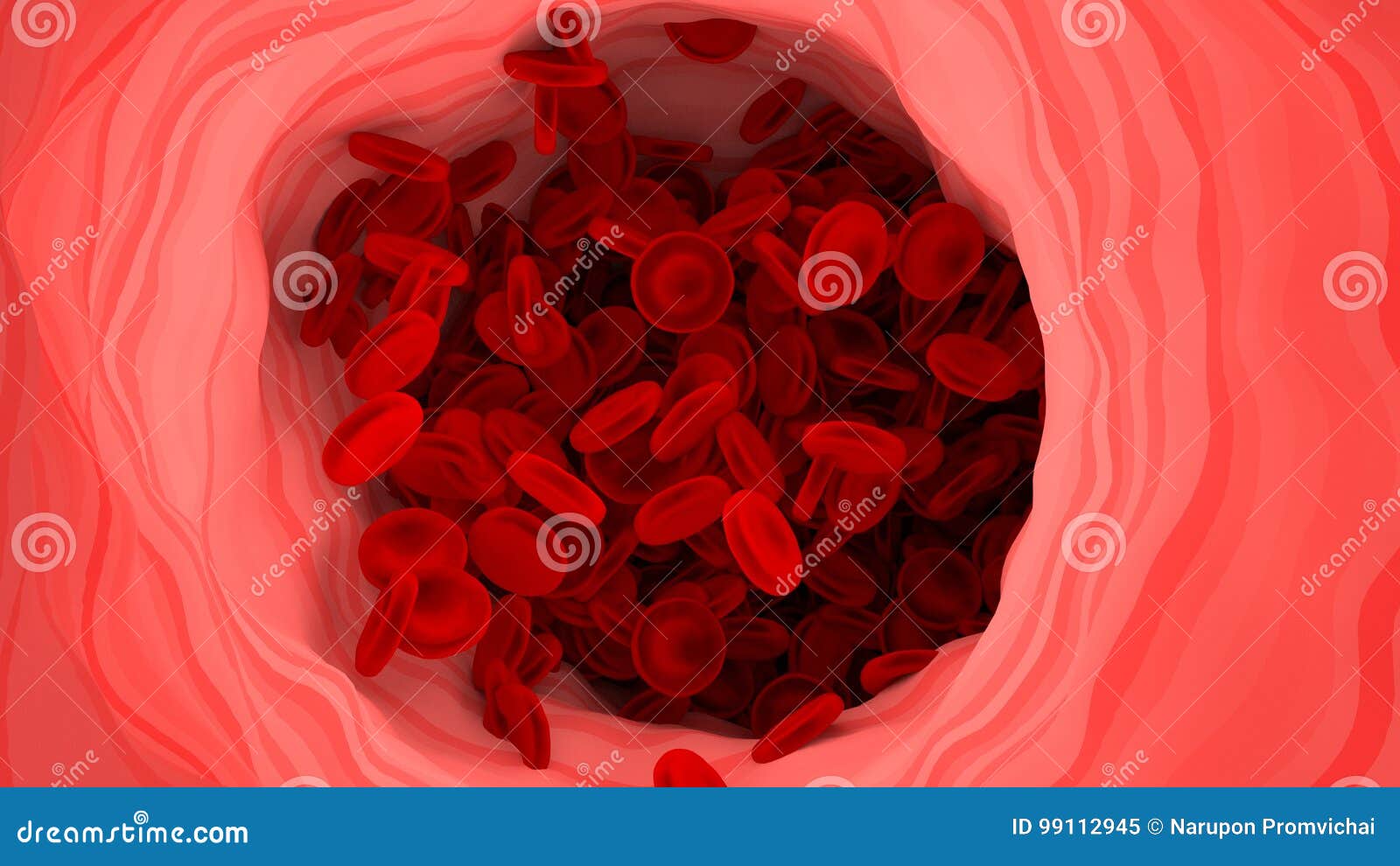 Globule Rouge Dans Le Vaisseau Sanguin Illustration Stock ...