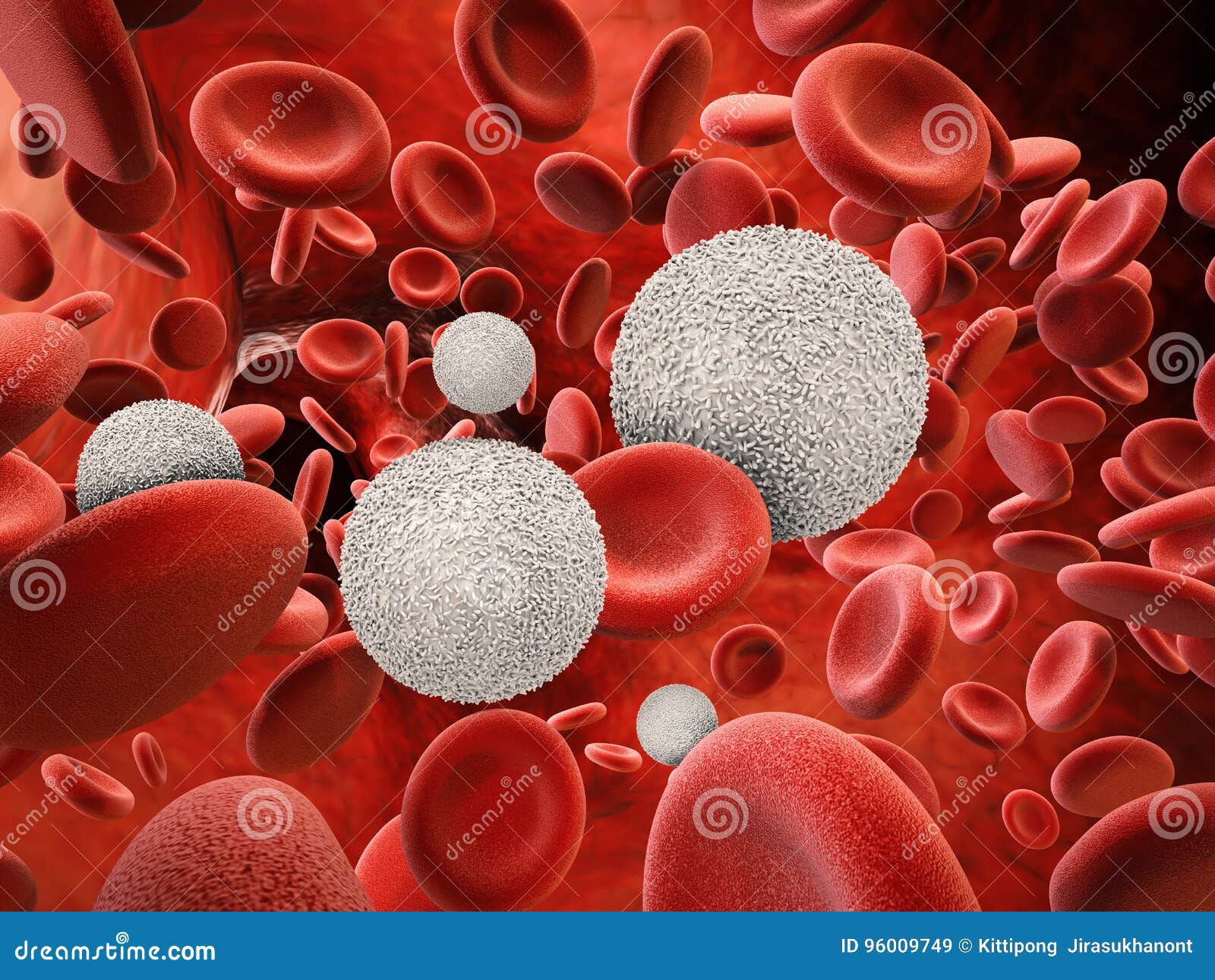 Globules Blancs Avec Les Globules Rouges Illustration Stock ...