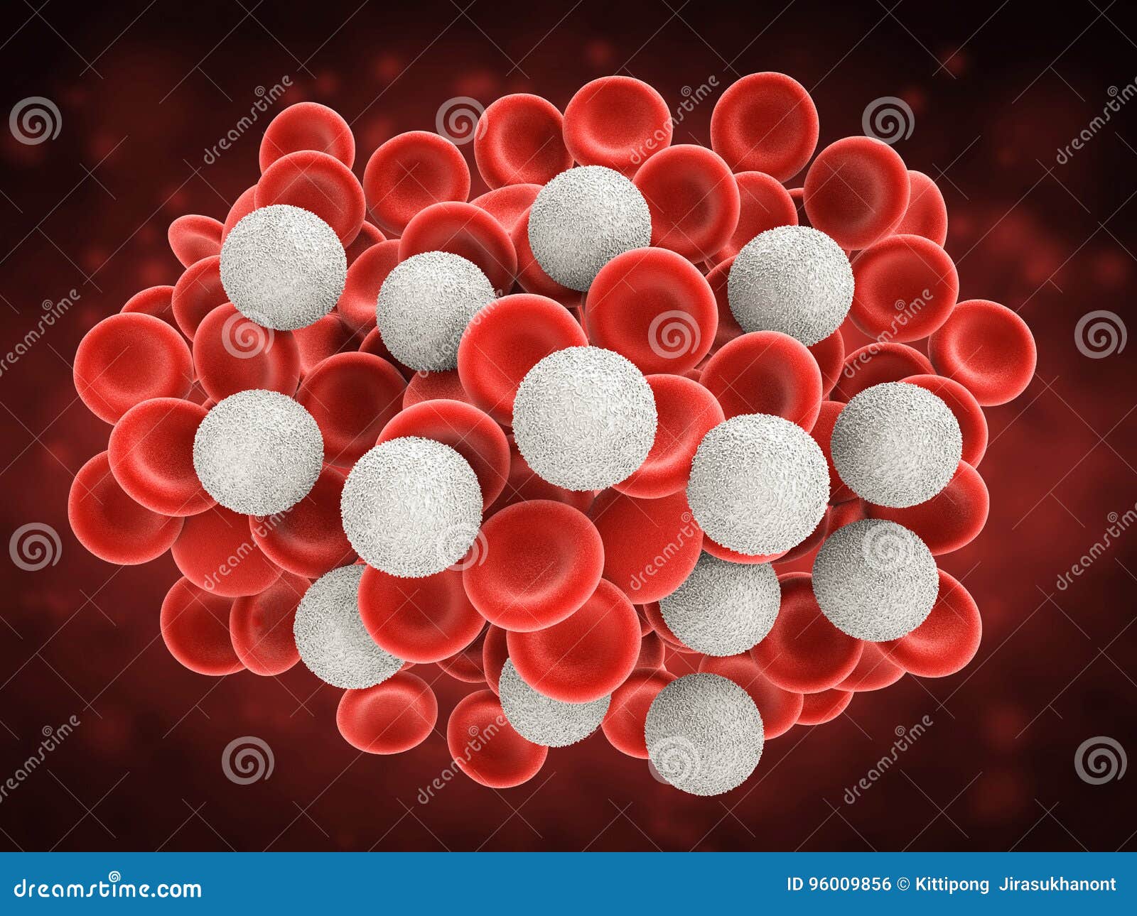 Globules Blancs Avec Les Globules Rouges Illustration Stock ...
