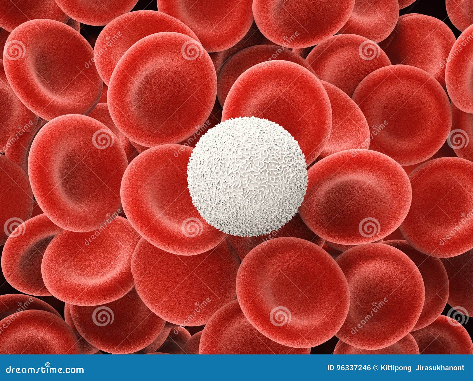 Globules Blancs Avec Les Globules Rouges Illustration Stock ...