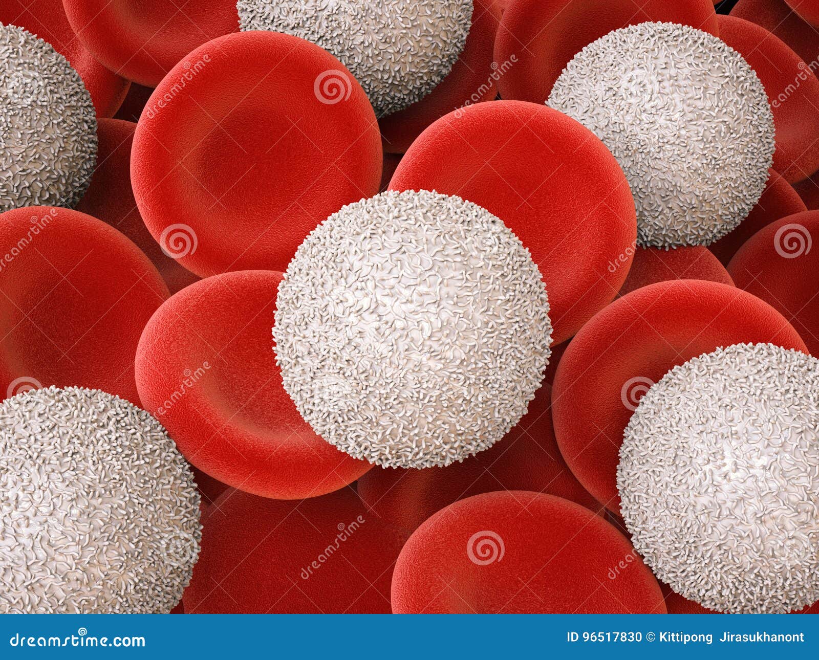 Globules Blancs Avec Les Globules Rouges Illustration Stock ...
