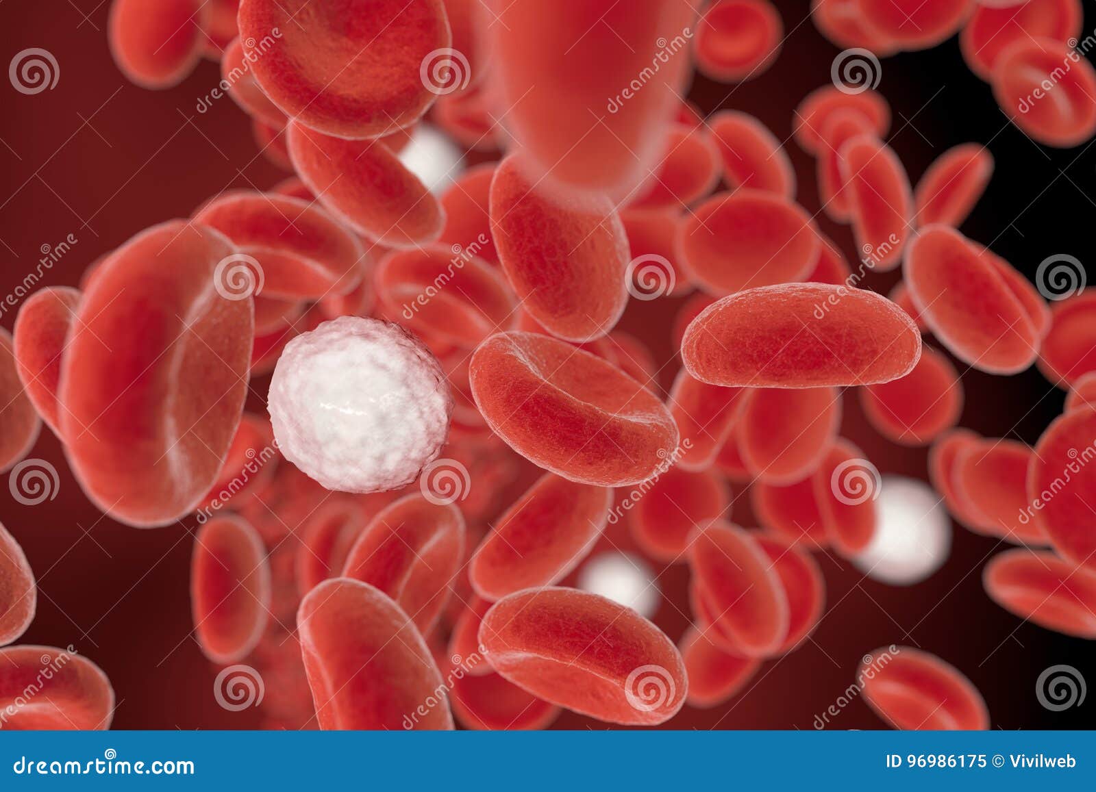 Globules Blancs Dans Le Courant De Sang Illustration Stock ...