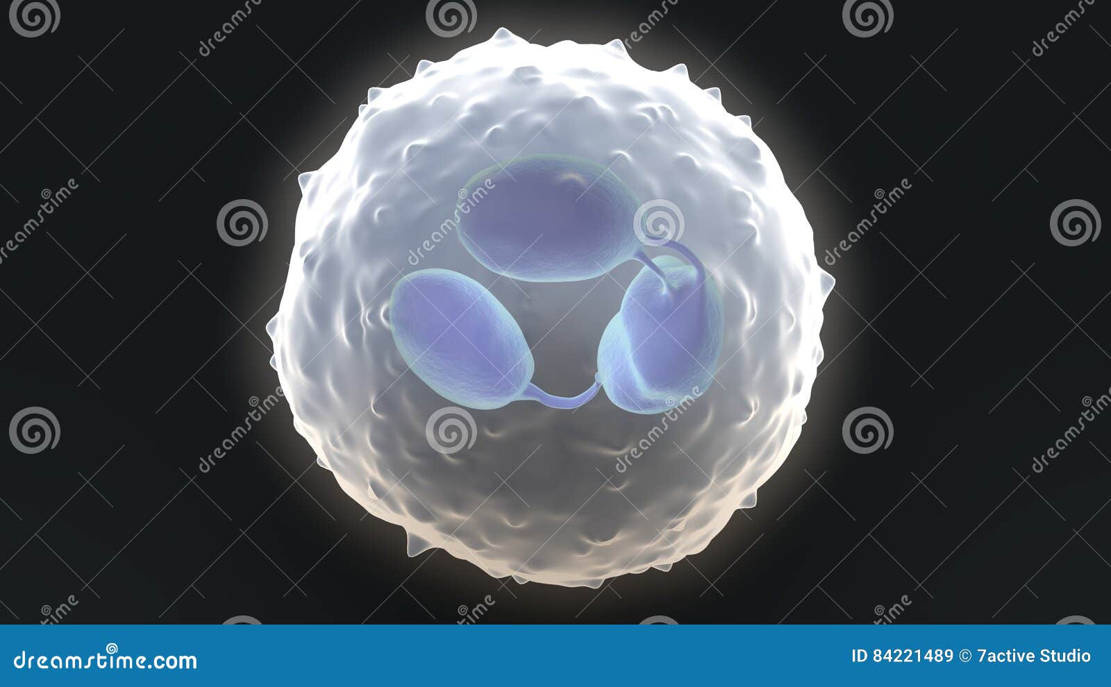 Globules blancs normaux illustration stock. Illustration du cellules ...
