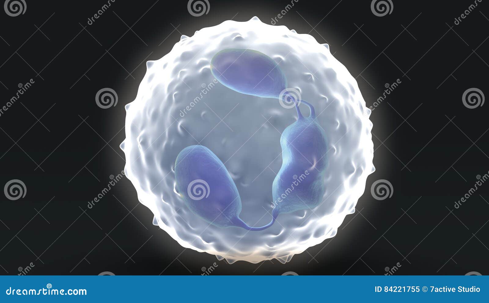 Globules blancs normaux illustration stock. Illustration du abstrait ...