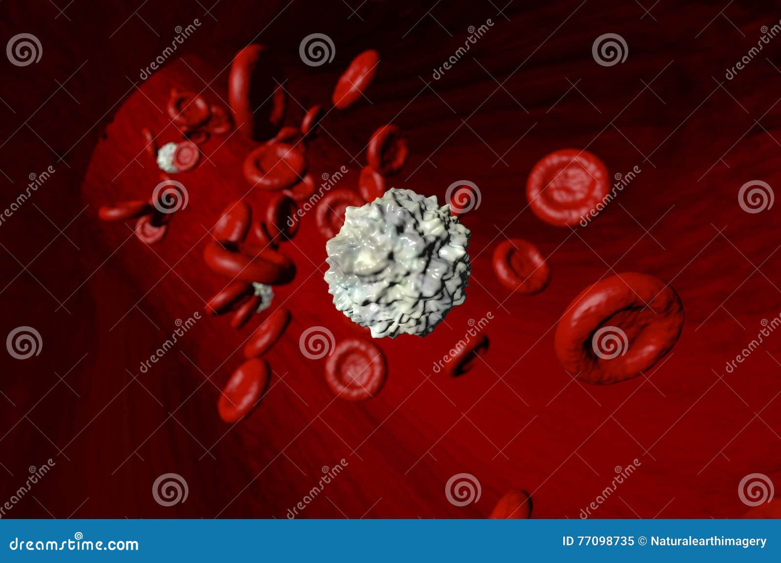 Globules Blancs Parmi Le Contexte Des Globules Rouges Illustration ...