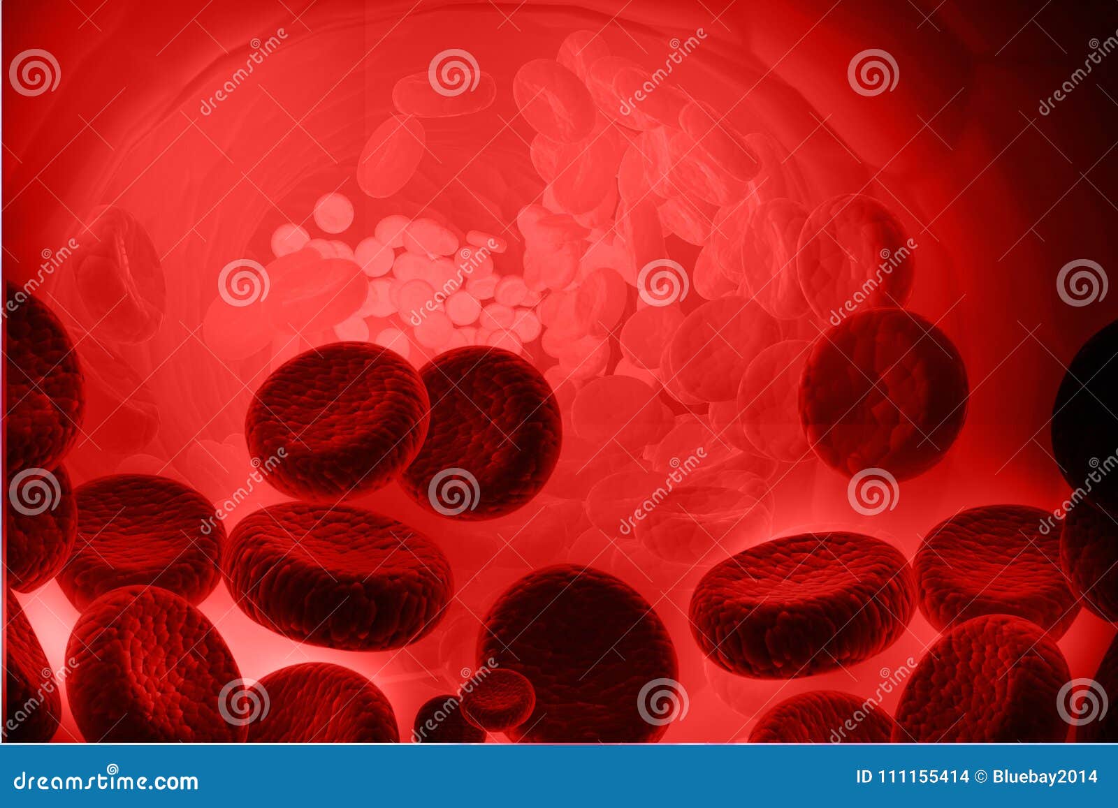 Globules rouges illustration stock. Illustration du bactéries - 111155414