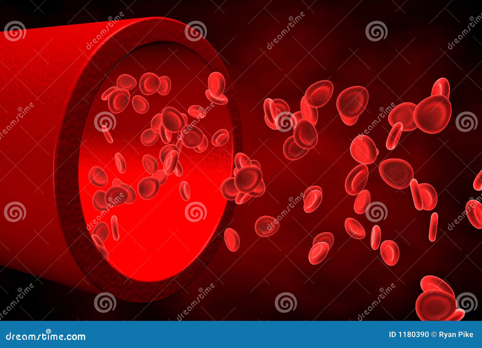 Globules rouges illustration stock. Illustration du infection - 1180390
