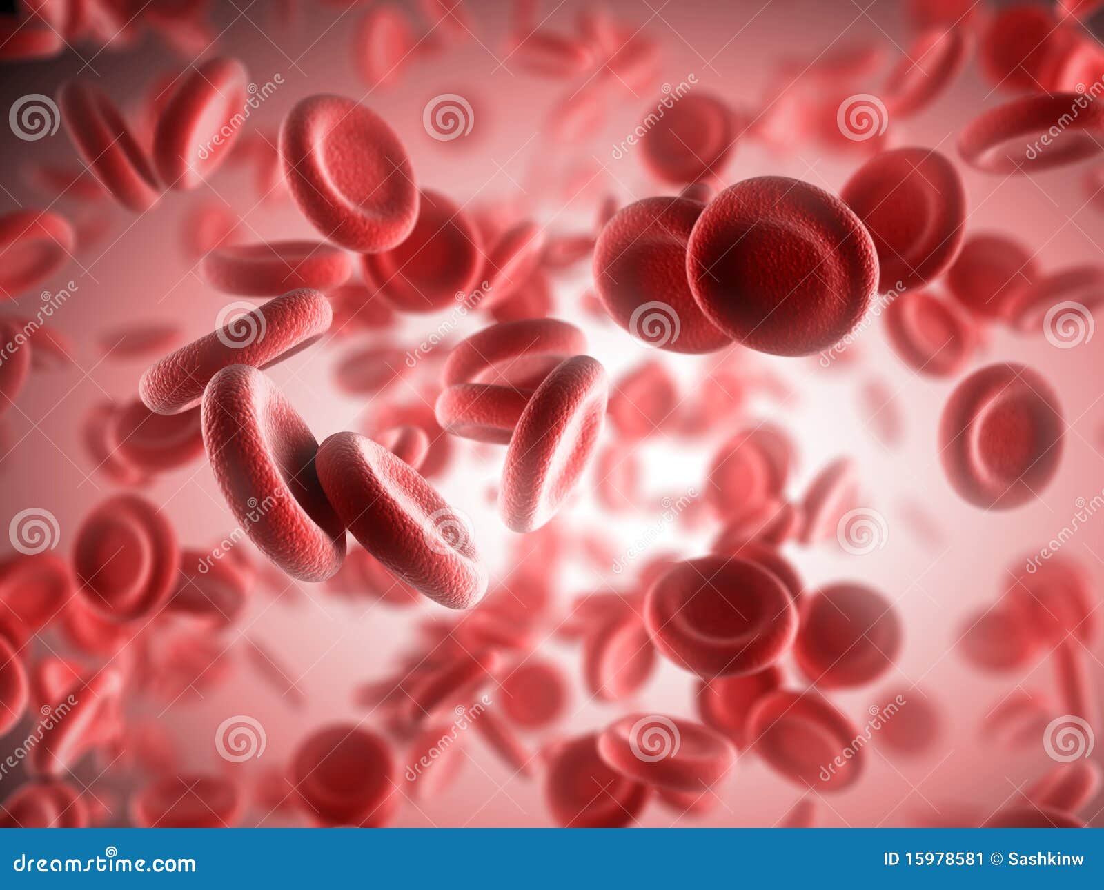 Globules rouges illustration stock. Illustration du sérum - 15978581