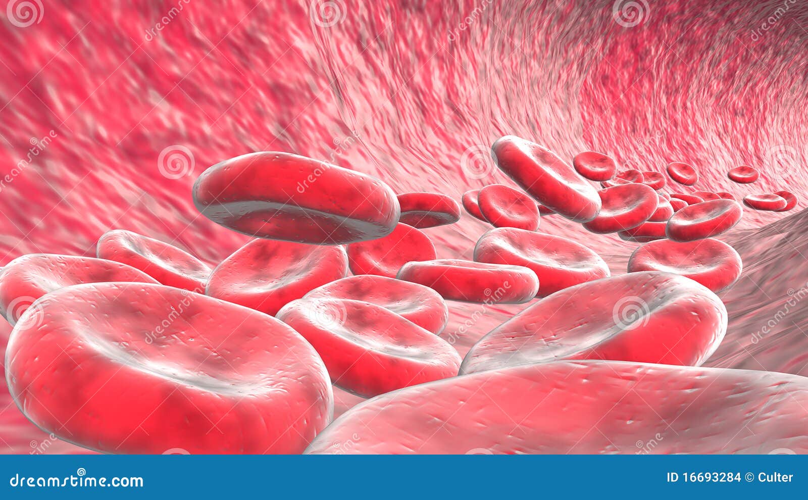 Globules rouges illustration stock. Illustration du sang - 16693284