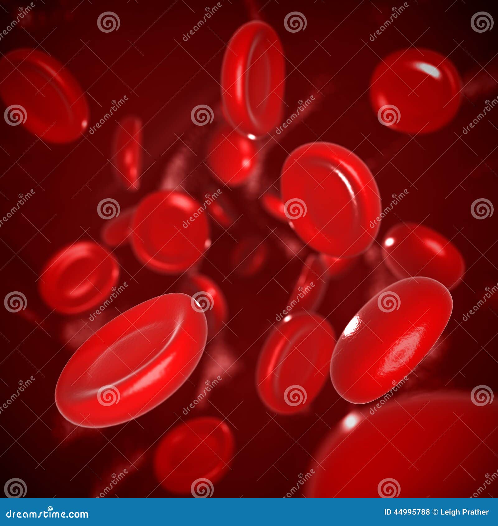 Globules rouges illustration stock. Illustration du sang - 44995788