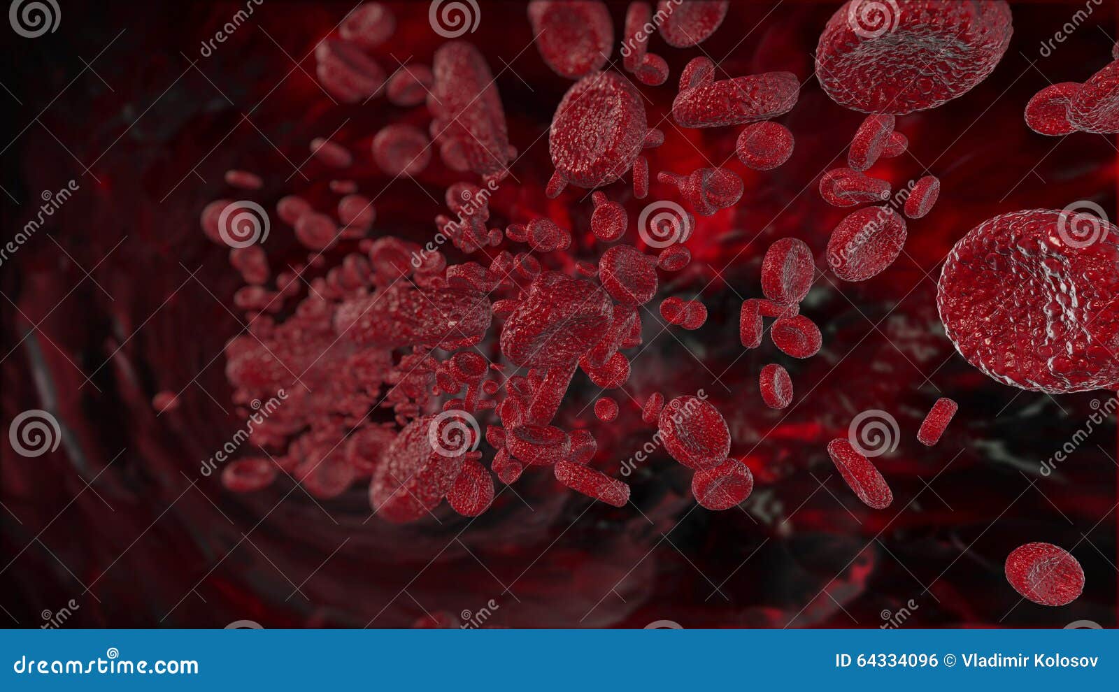 Globules rouges illustration stock. Illustration du artère - 64334096