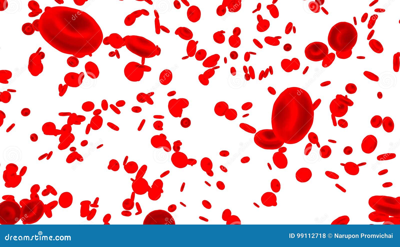 Globules Rouges D'isolement Sur Le Fond Blanc Illustration Stock ...