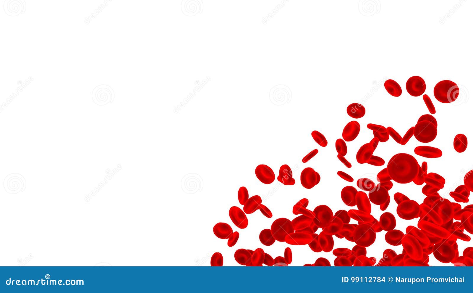 Globules Rouges D'isolement Sur Le Fond Blanc Illustration Stock ...