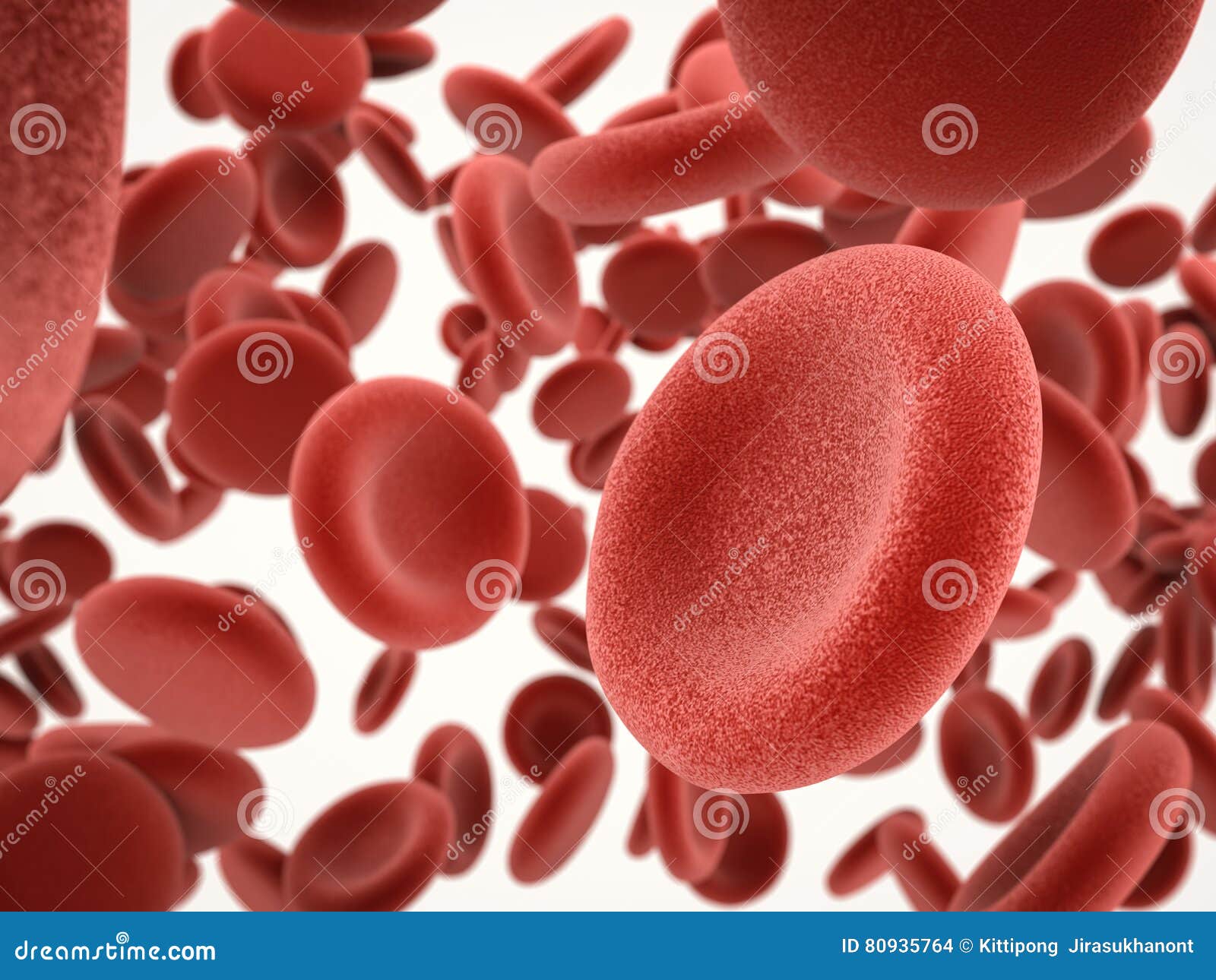 Globules Rouges Dans La Veine Photo stock - Image du hémoglobine, sang ...