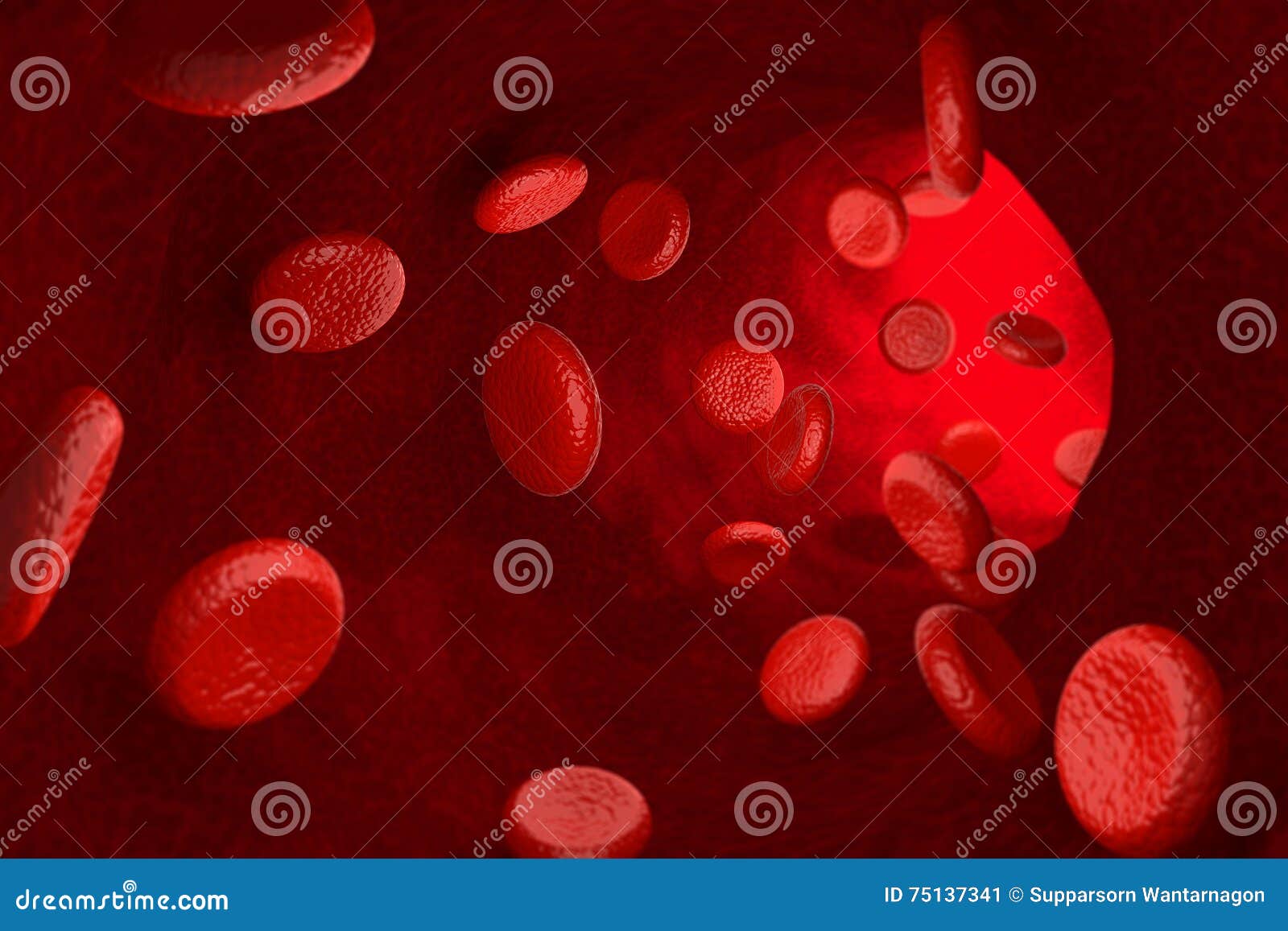Globules Rouges Dans La Veine, Rendu 3D Illustration Stock ...