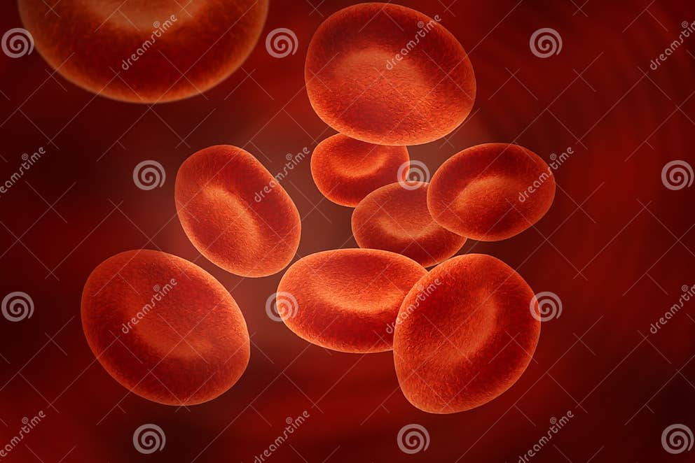 Globules Rouges - Illustration Illustration Stock - Illustration du ...