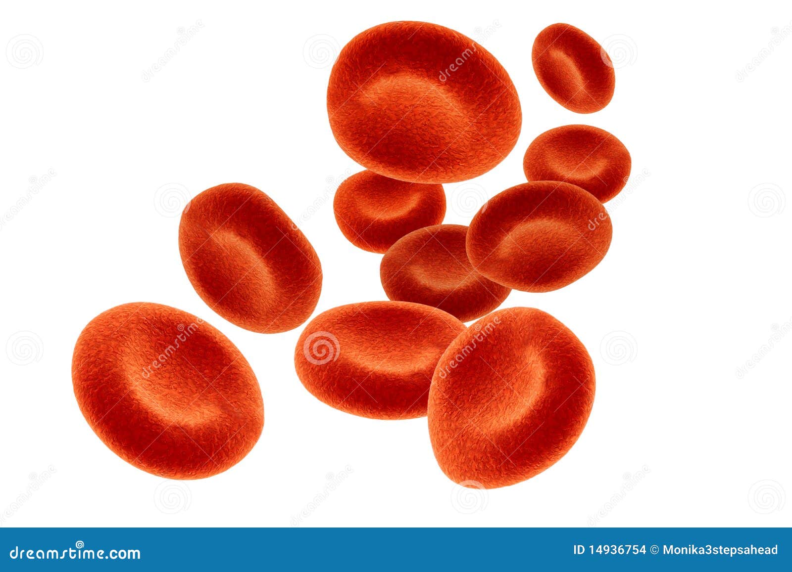 Globules Rouges - Illustration Illustration Stock - Illustration du ...