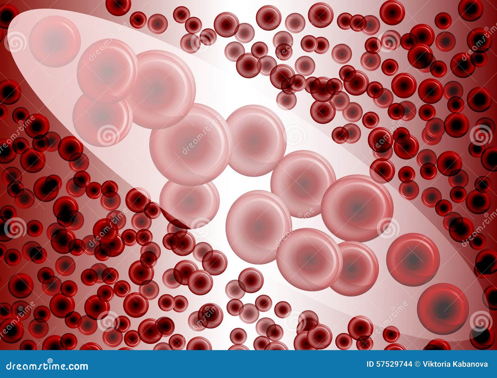 GLOBULES ROUGES SOUS LE RAPPORT OPTIQUE Illustration de Vecteur ...